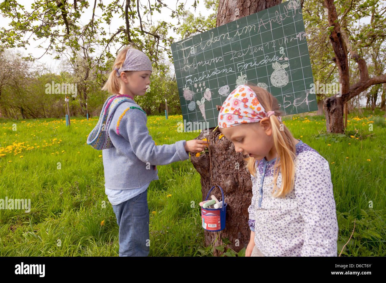 Writing under tree hi-res stock photography and images - Alamy