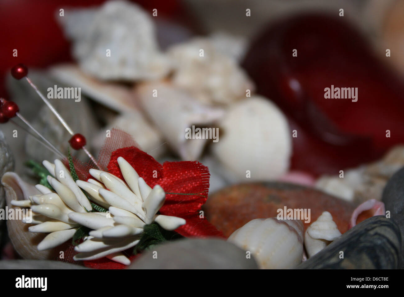 Flowers with shell collection Stock Photo - Alamy
