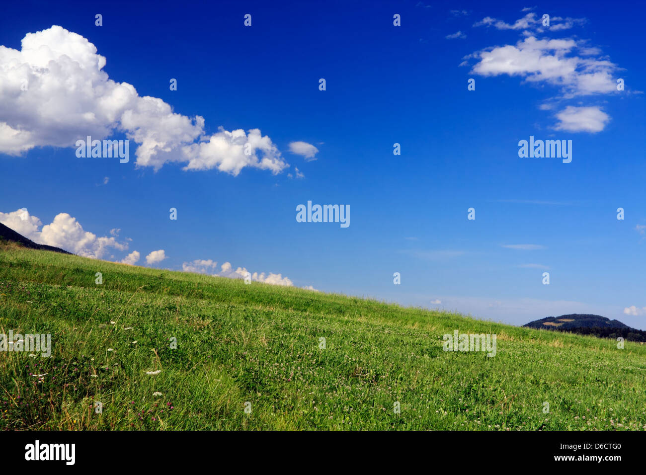 green mountain meadow Stock Photo - Alamy