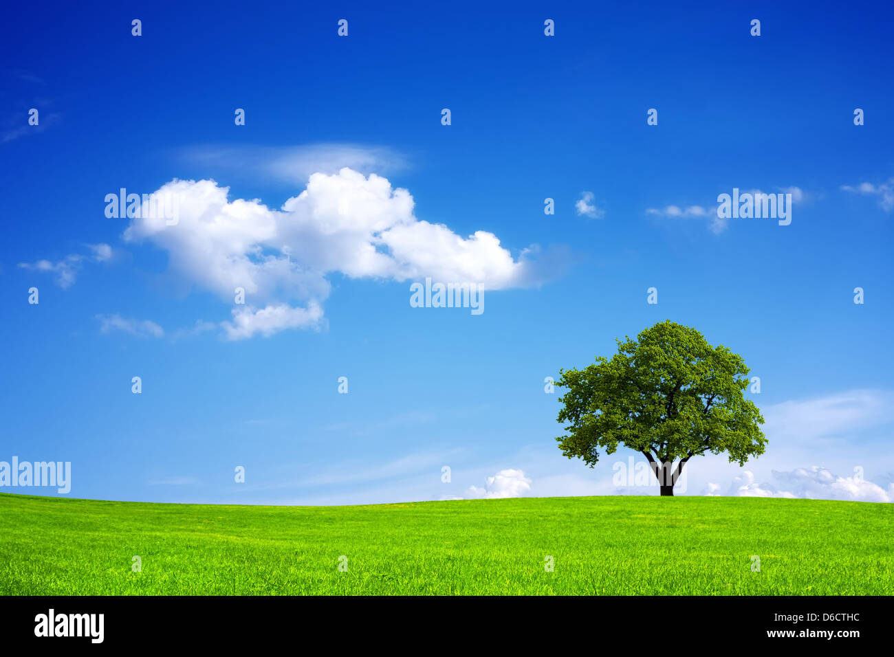 Hill country spring ecosystem hi-res stock photography and images - Alamy