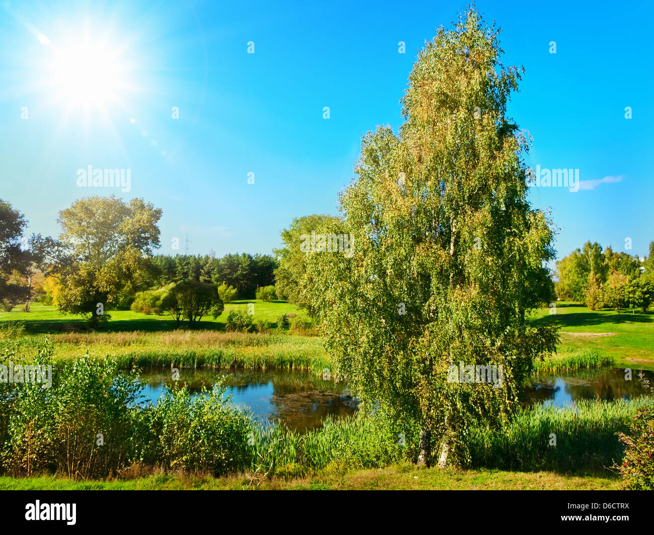 Summer scenery hi-res stock photography and images - Alamy