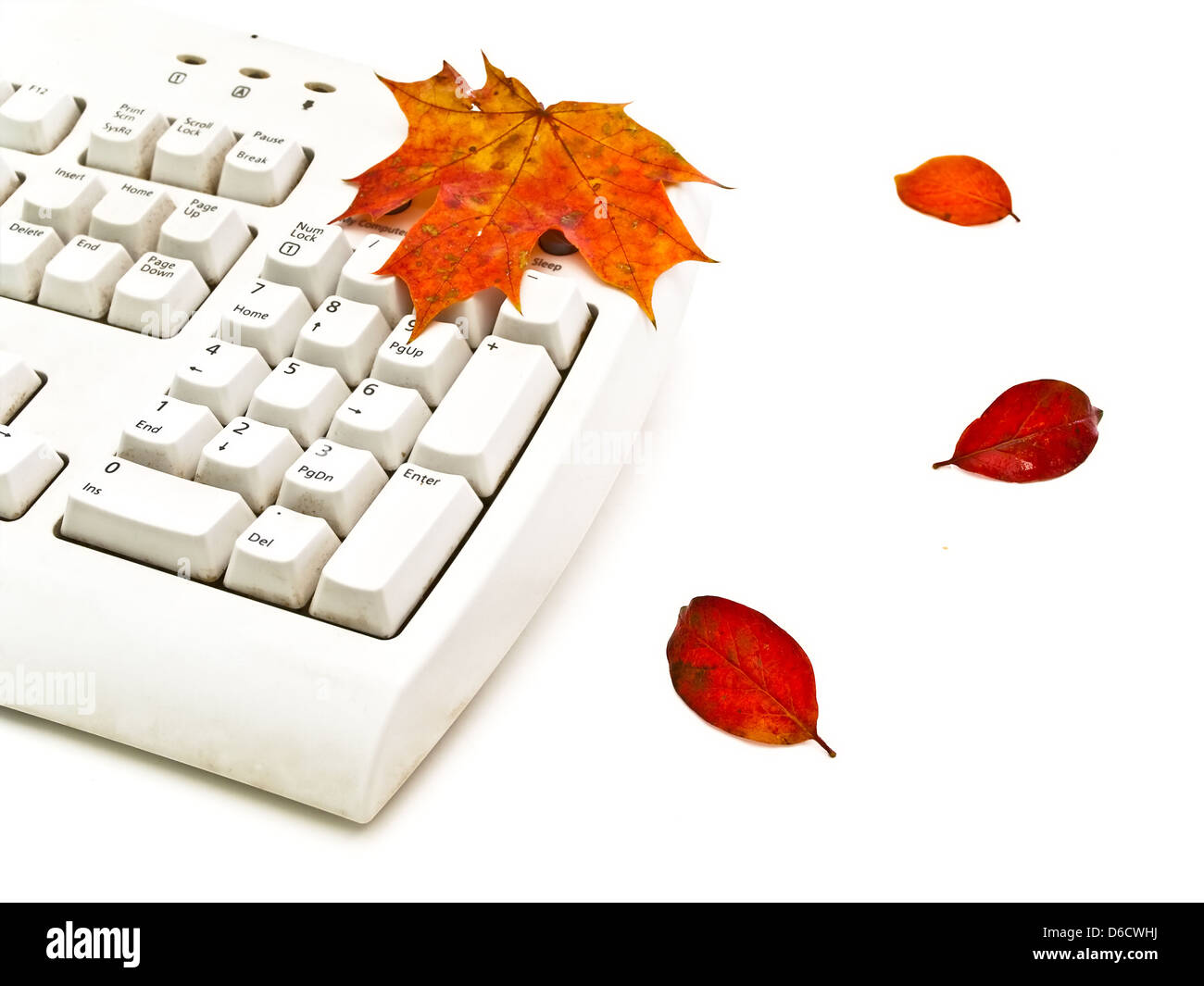 Typing tool Cut Out Stock Images & Pictures - Alamy