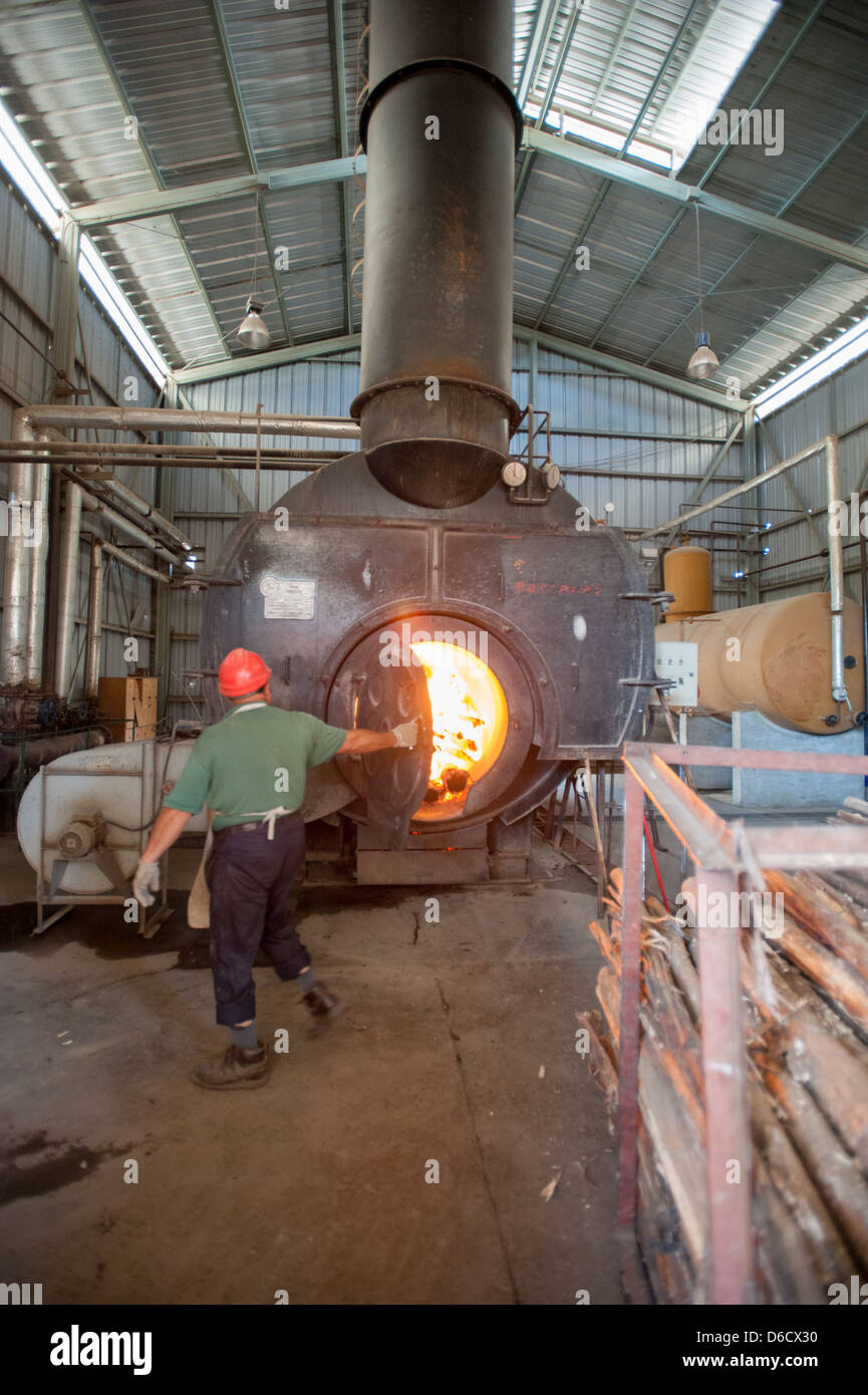 Canola oil (rapeseed) production at Molinera Gorbea, a grain processor ...