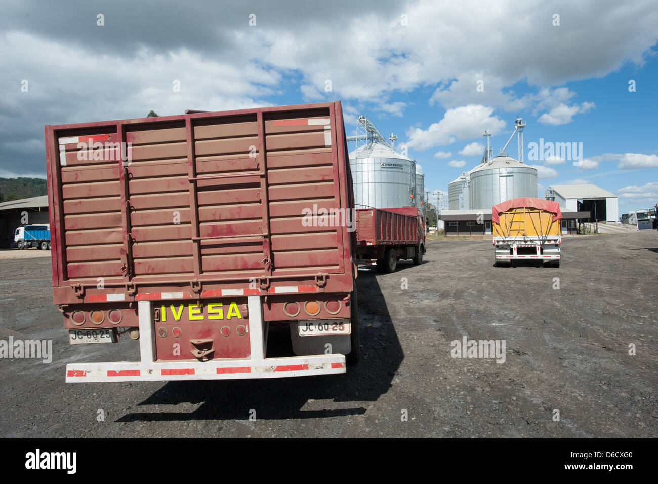 Canola oil (rapeseed) production at Molinera Gorbea, a grain processor ...