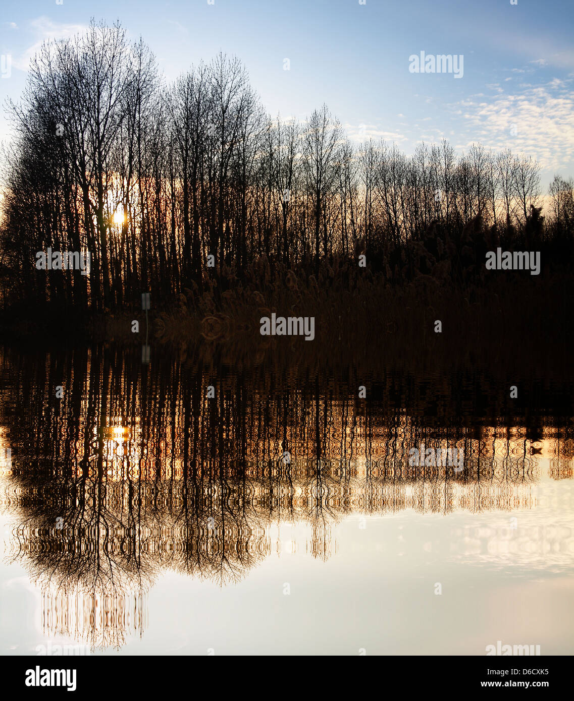 Forest sunset reflection Stock Photo - Alamy