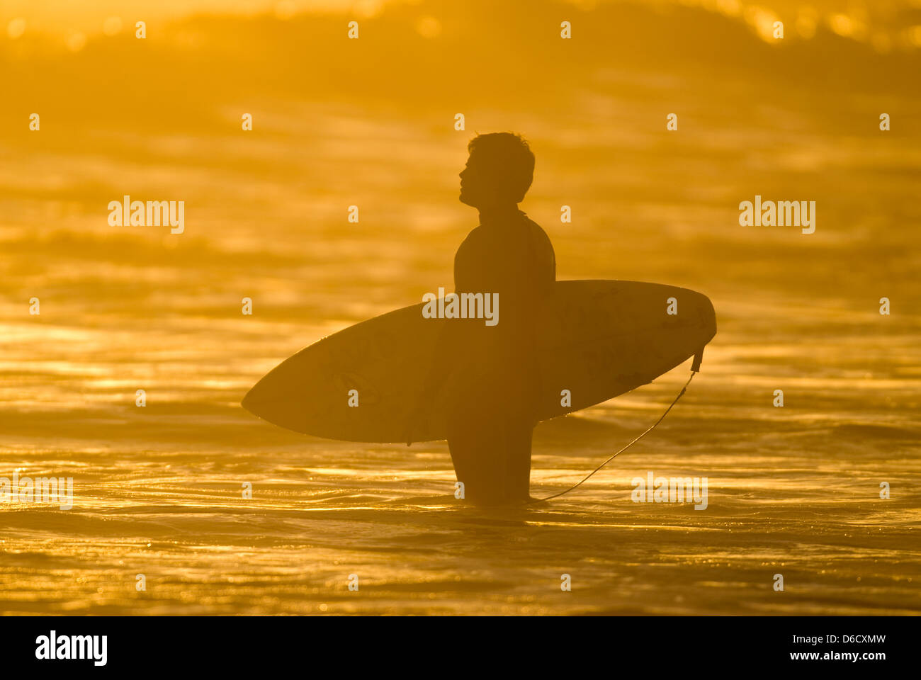Surfer watching waves at sunset at La Poloma Uruguay Stock Photo - Alamy Surfer watching waves at sunset at La Poloma Uruguay Stock Photo - Alamy