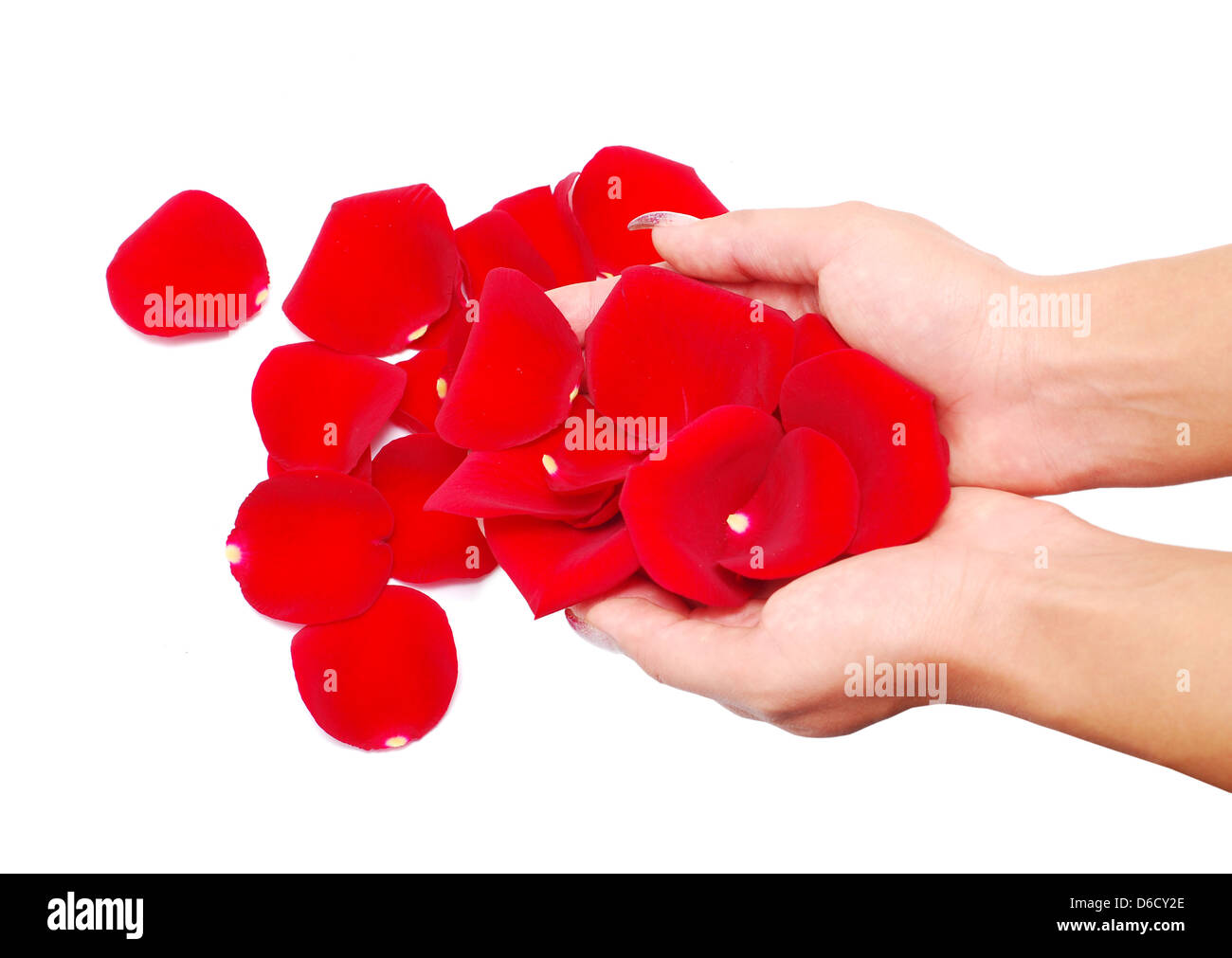 Hand rose petals hi-res stock photography and images - Alamy