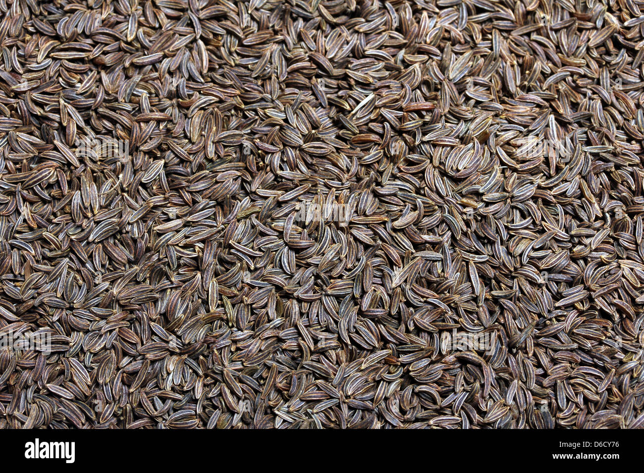 Texture caraway seed close hi-res stock photography and images - Alamy
