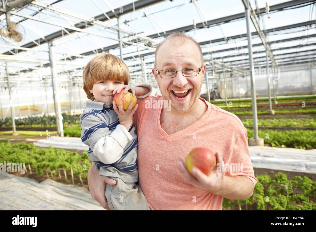 Man holding apple and son inside greenhouse Stock Photo - Alamy