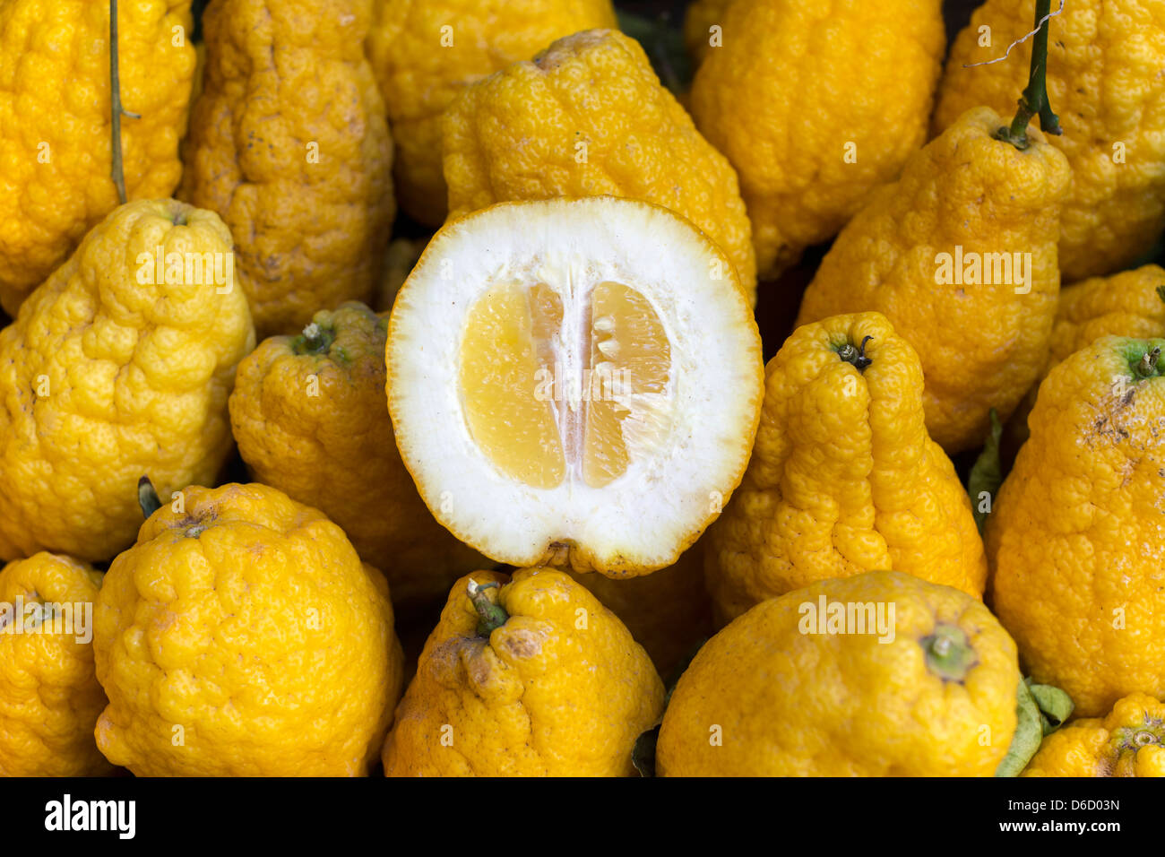 Greek citron - a type of lemon originating in India and grown in Italy ...