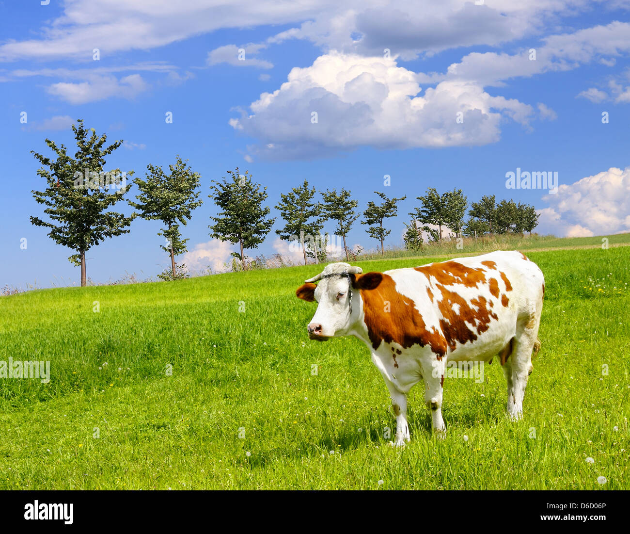 Eat ecology hi-res stock photography and images - Alamy