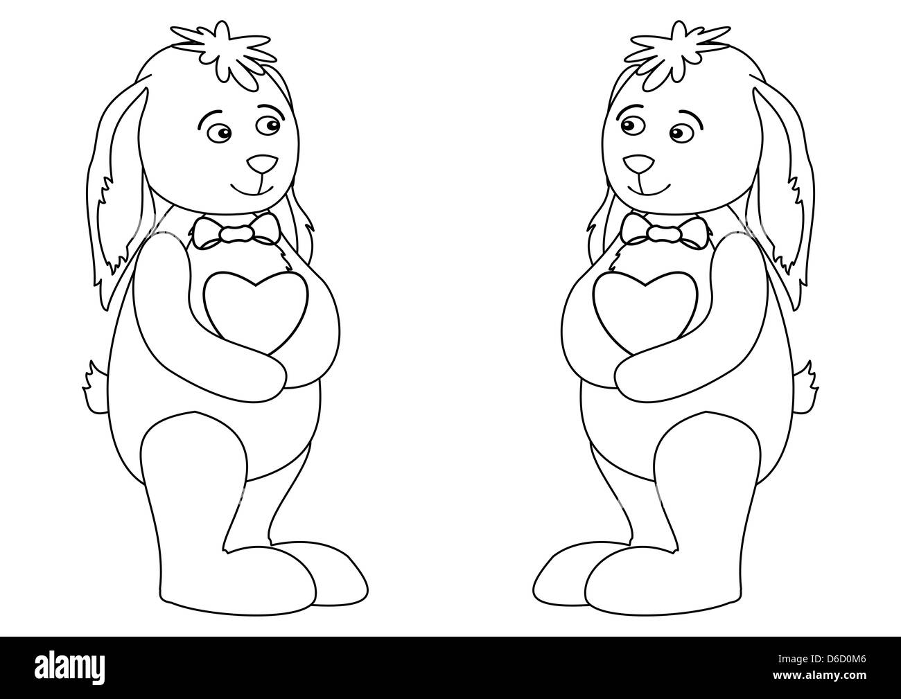 Rabbit Heart Diagram