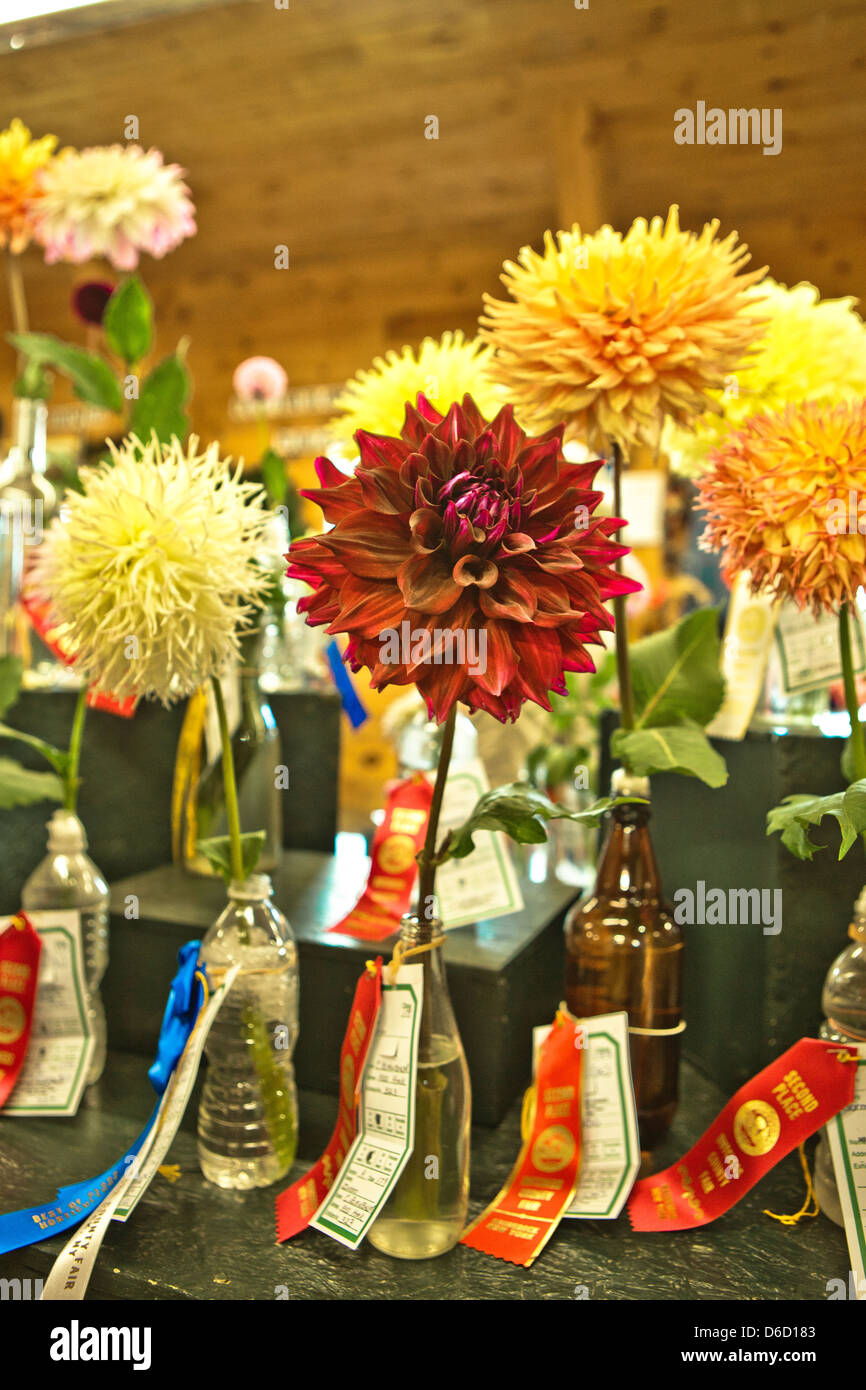 State fair ribbon hi-res stock photography and images - Alamy