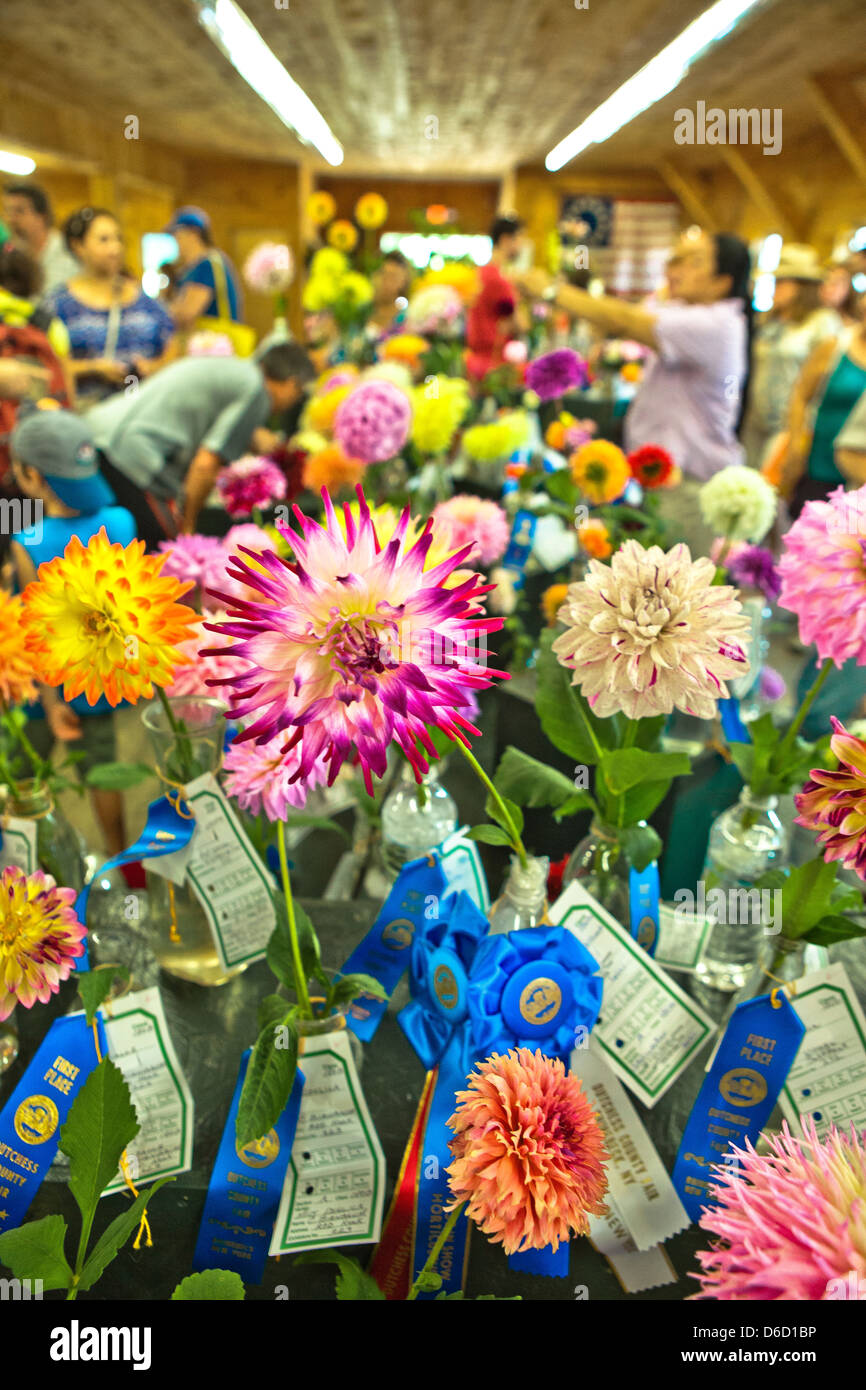 flowers at fair Stock Photo - Alamy