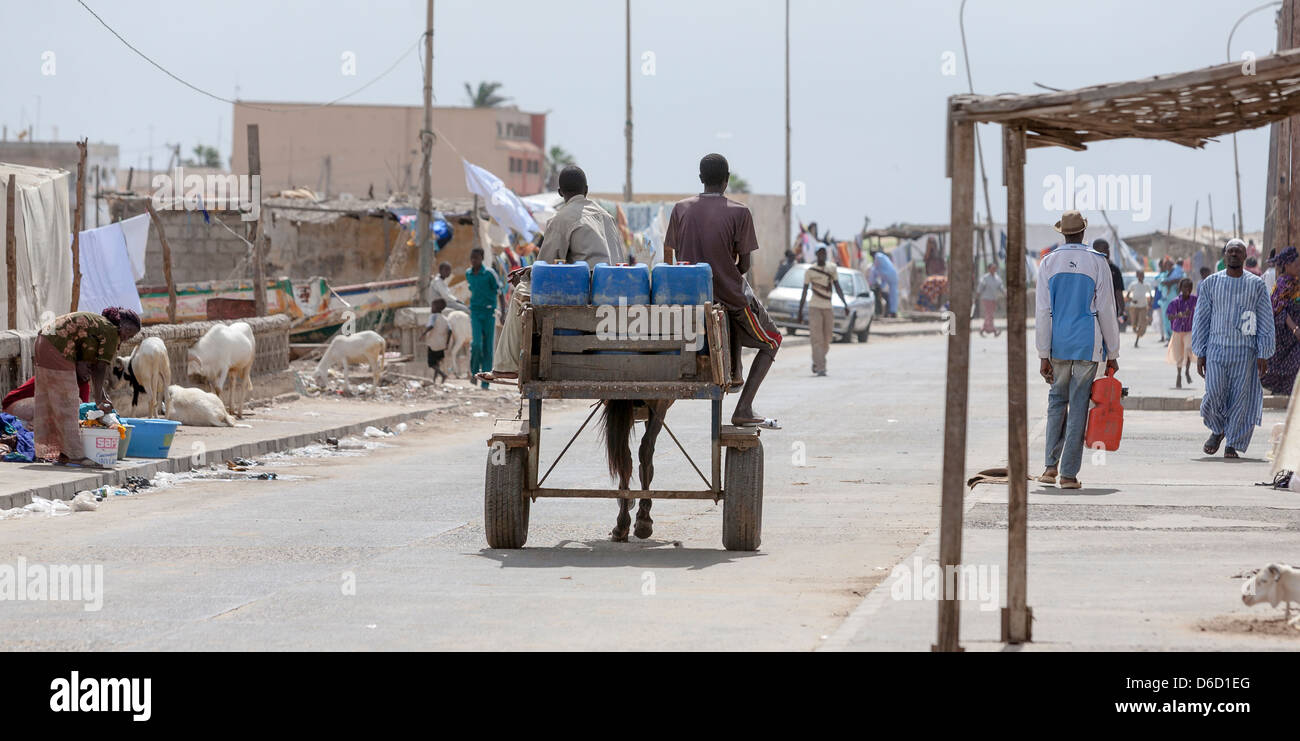 An African street scene showing a horse and cart, goats and people ...
