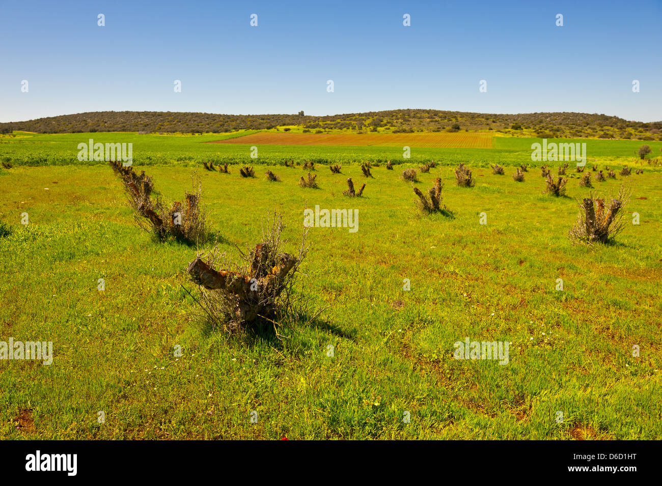 Soil slump hi-res stock photography and images - Alamy
