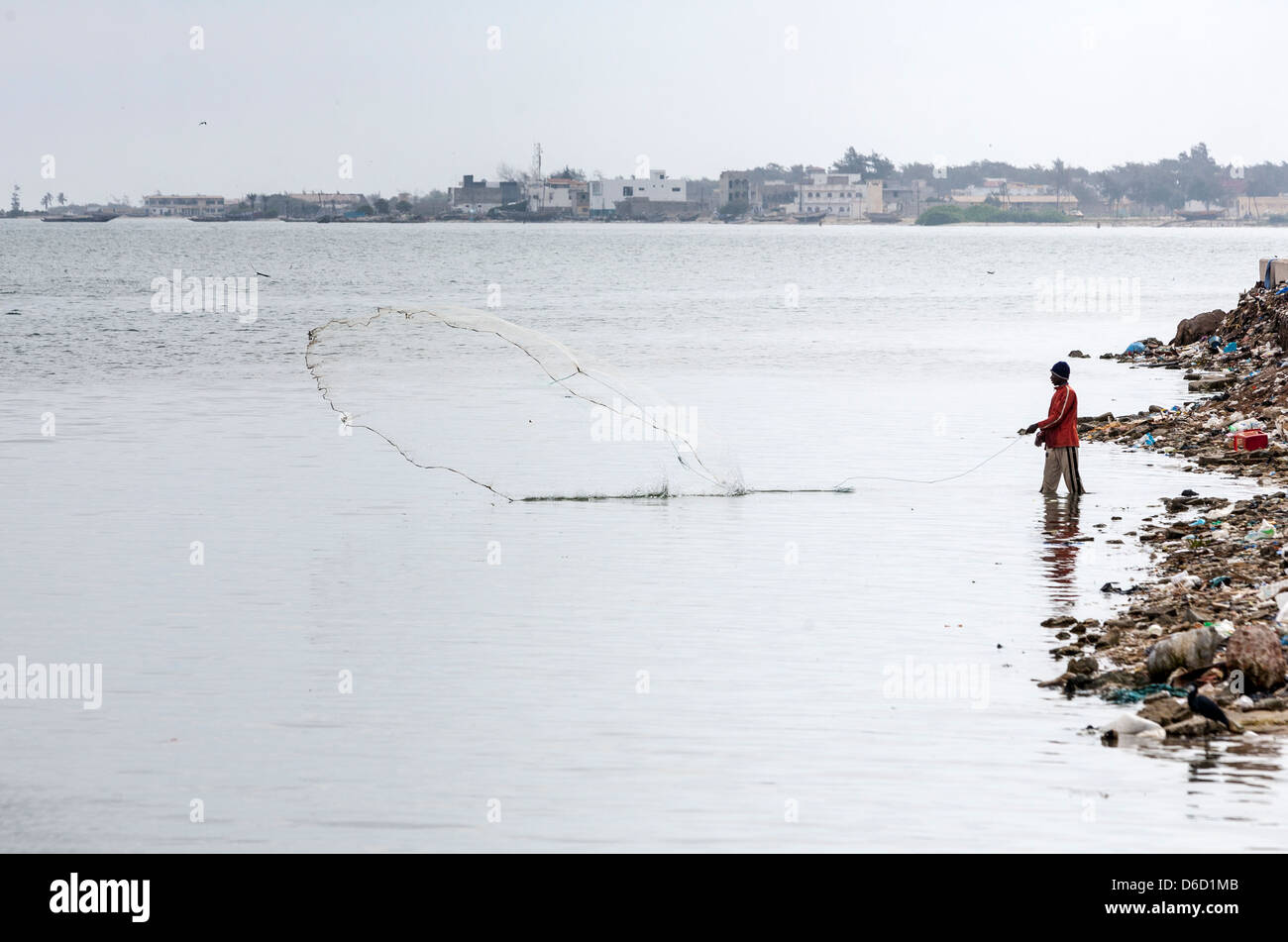 A senegalese fisherman fishing with a traditional cast net in St. Louis ...