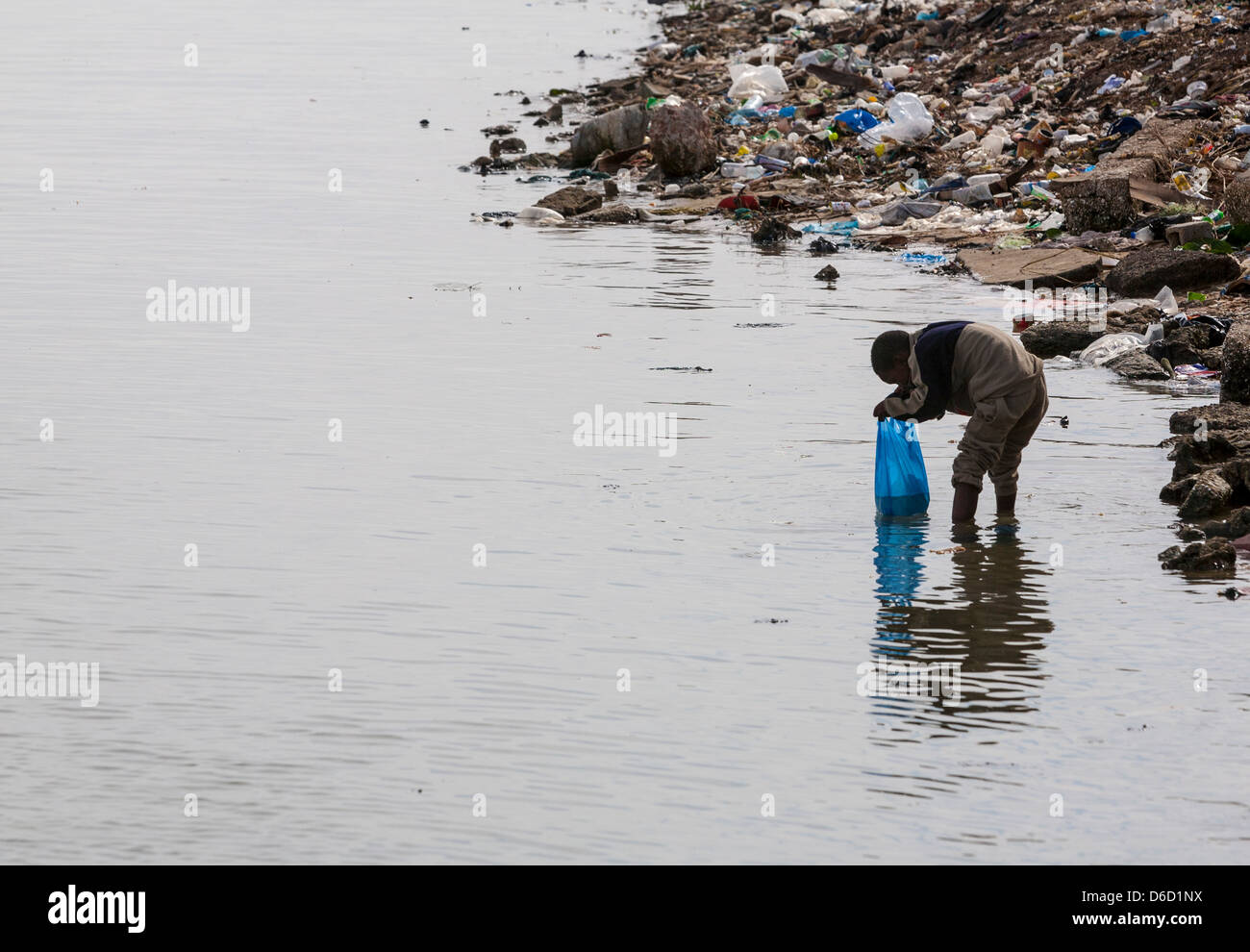 A boy wading through shallow water collecting and sorting rubbish into ...