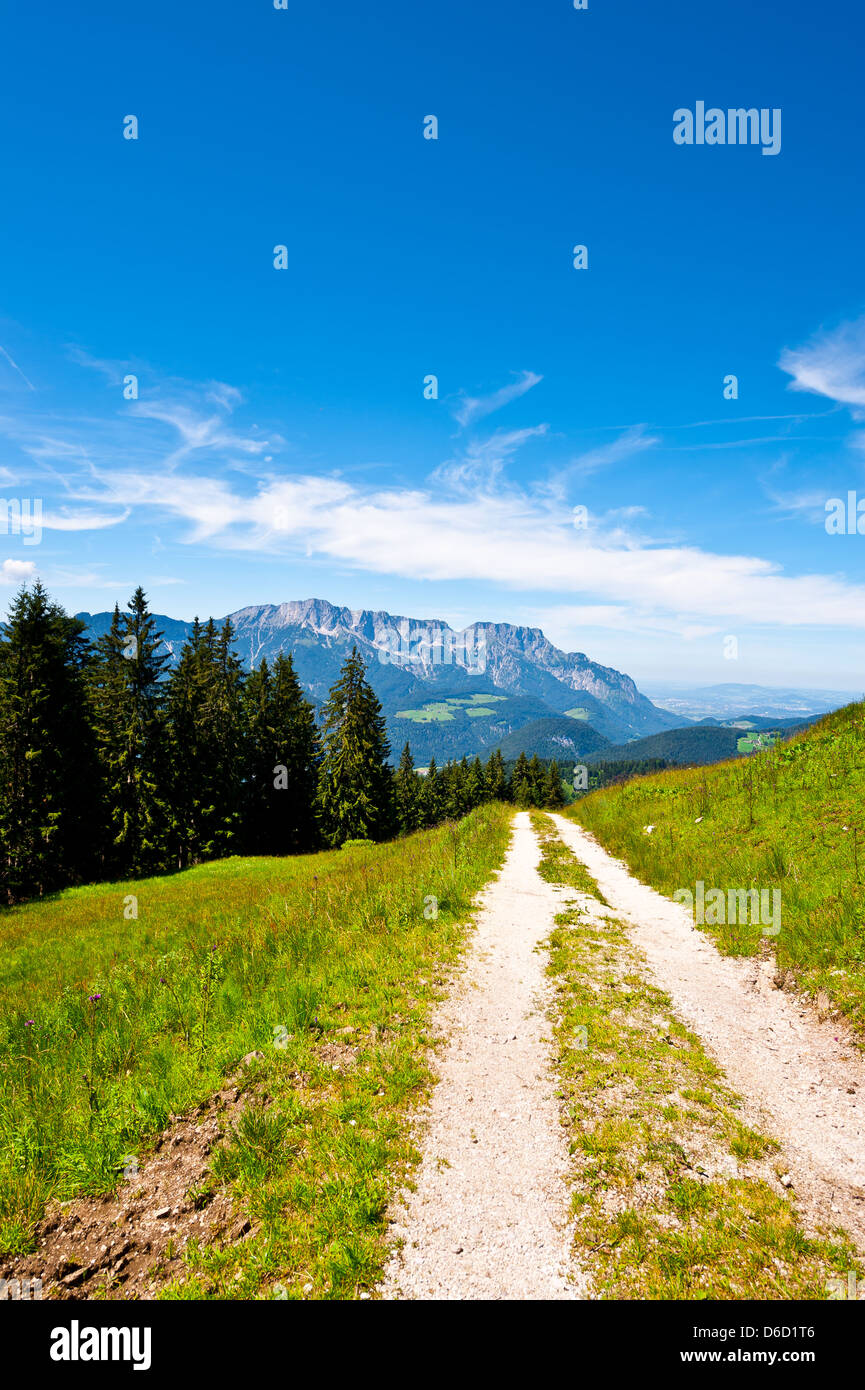 Tree dirt road bavaria hi-res stock photography and images - Alamy