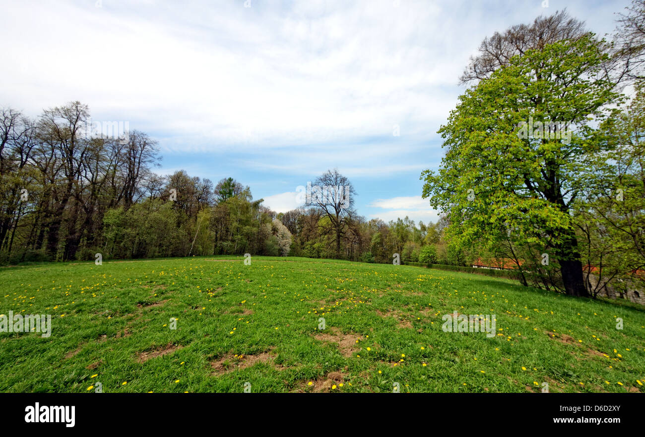 Spring panorama hi-res stock photography and images - Alamy