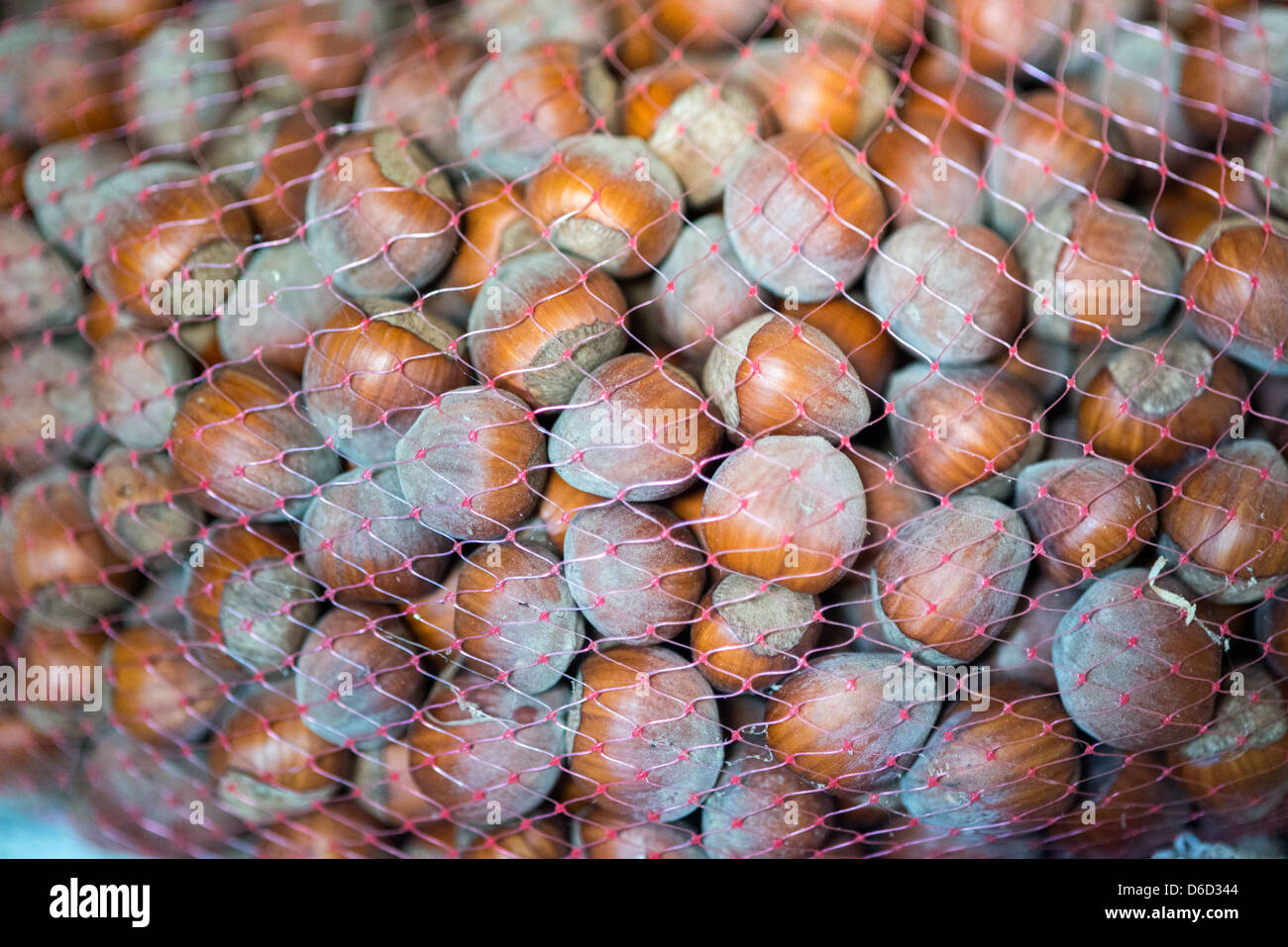 Hazelnut harvest hi-res stock photography and images - Alamy