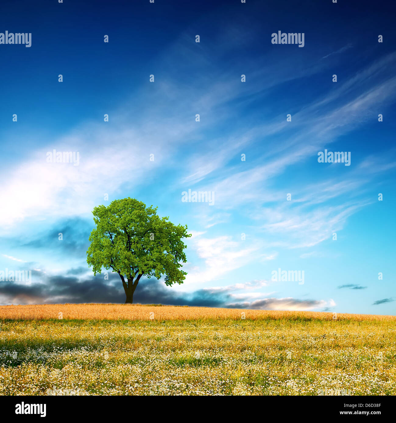 Forces of Nature Stock Photo - Alamy