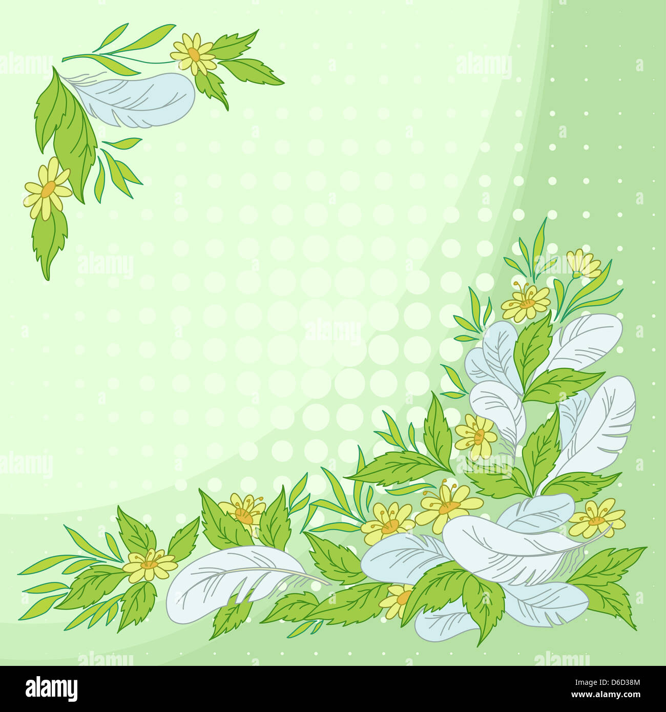 Curly feathers hi-res stock photography and images - Alamy