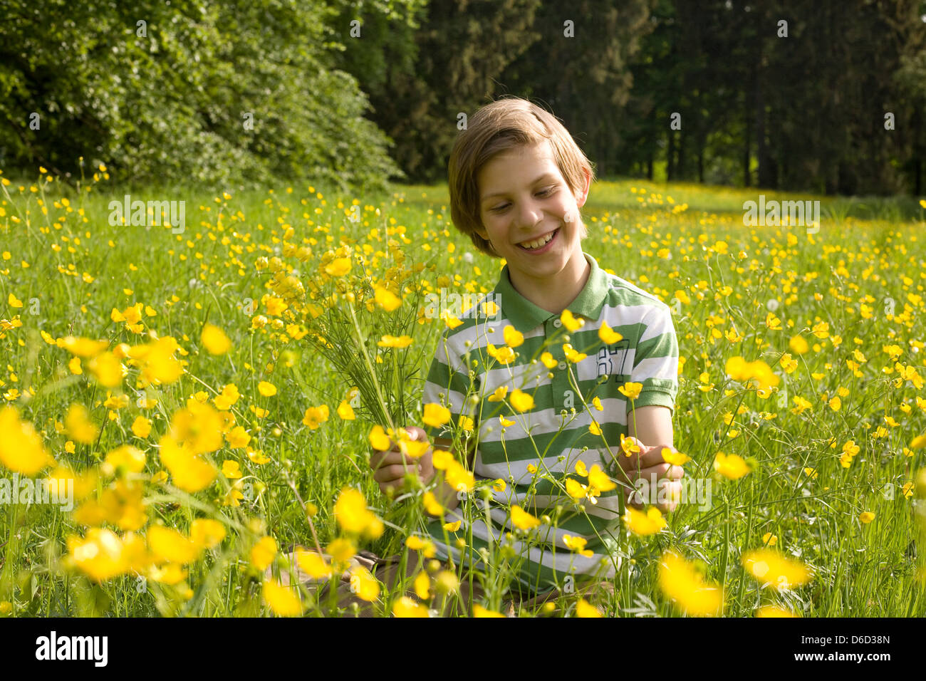 Potsdam, Germany, a boy picking flowers in a meadow Stock Photo - Alamy