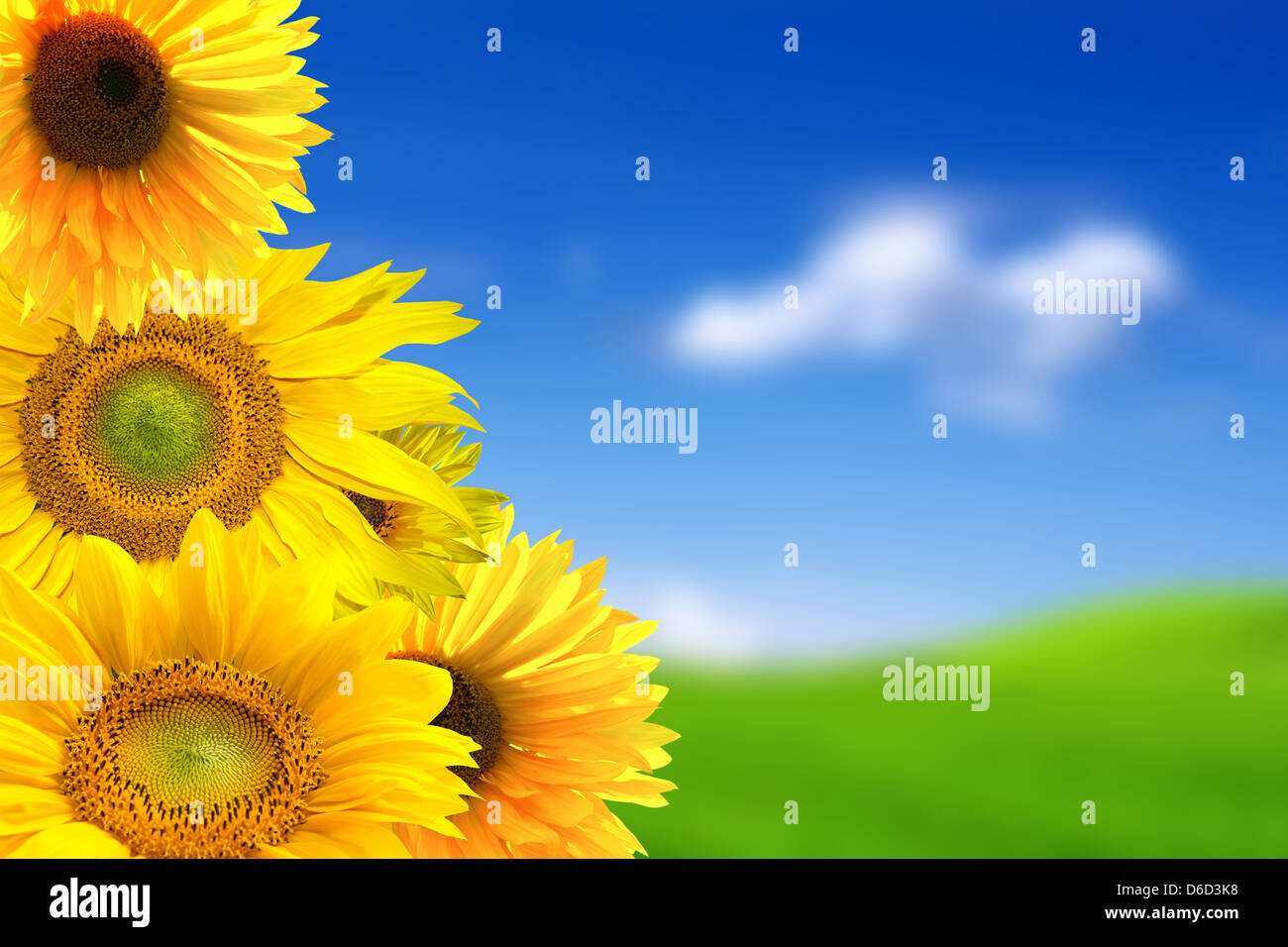 Happy summer hi-res stock photography and images - Alamy