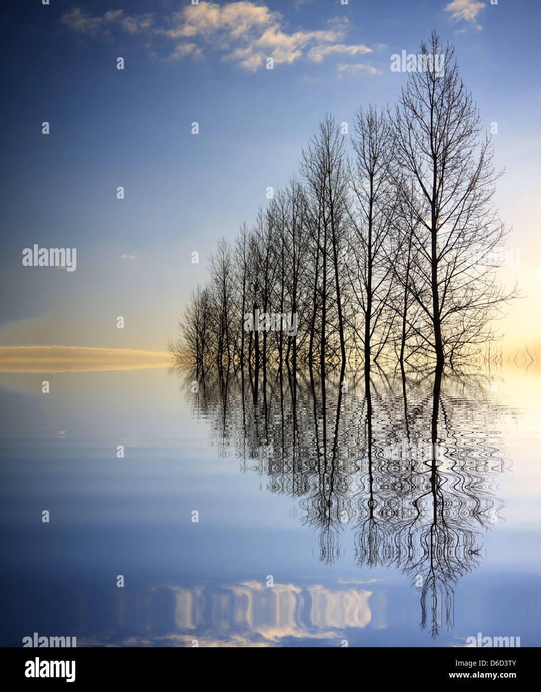 Forces of nature Stock Photo - Alamy