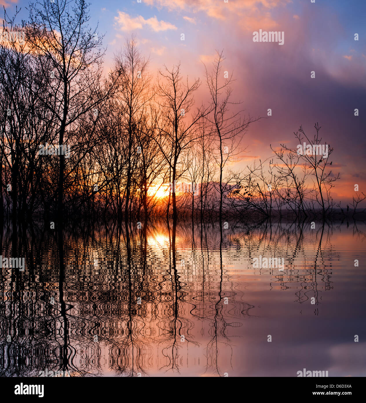 Burning bush hi-res stock photography and images - Alamy