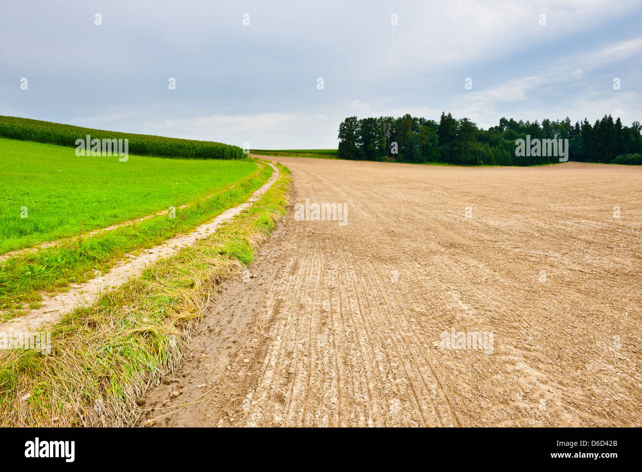 Field plowed corn hi-res stock photography and images - Alamy
