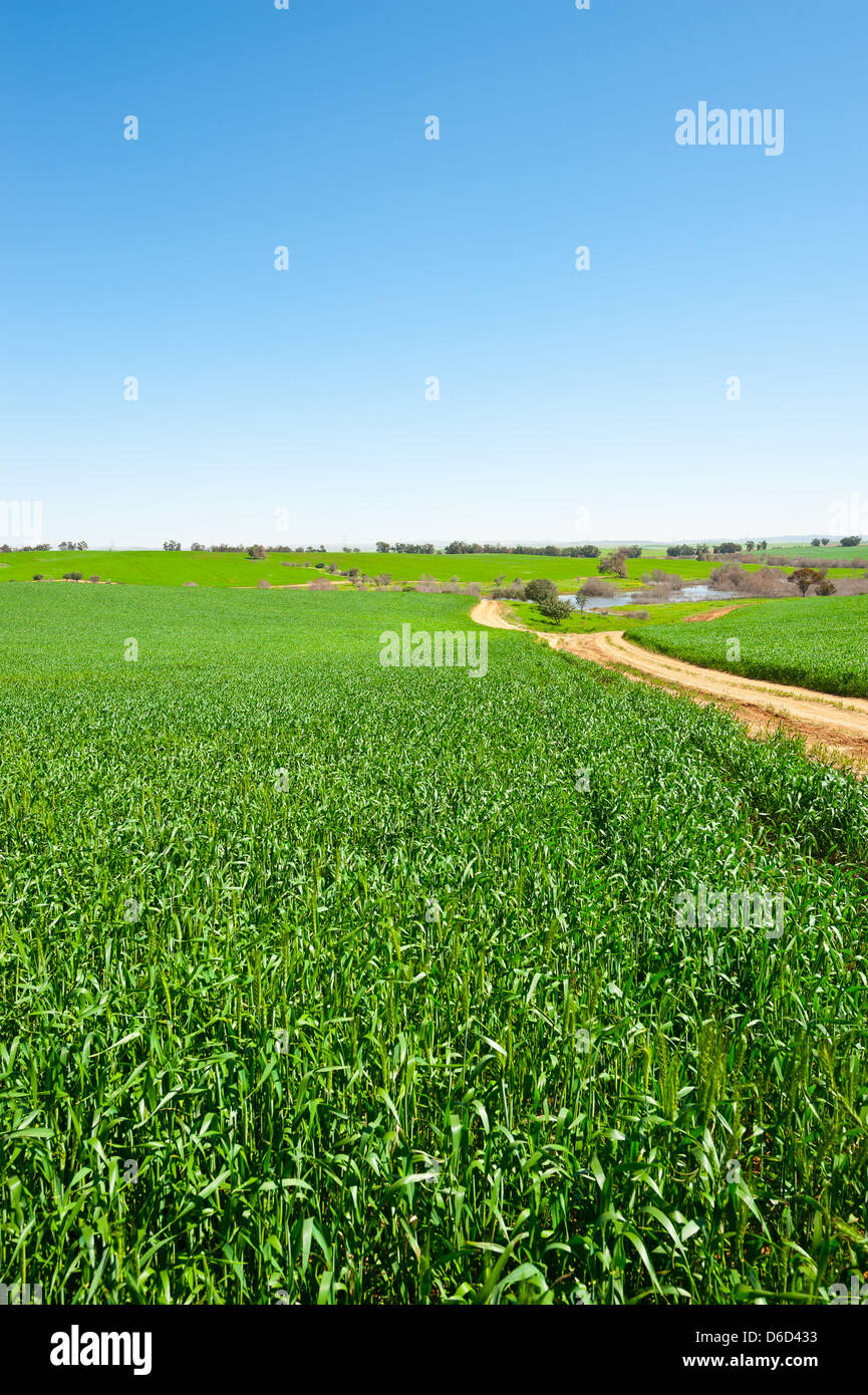 Israel fields water hi-res stock photography and images - Alamy