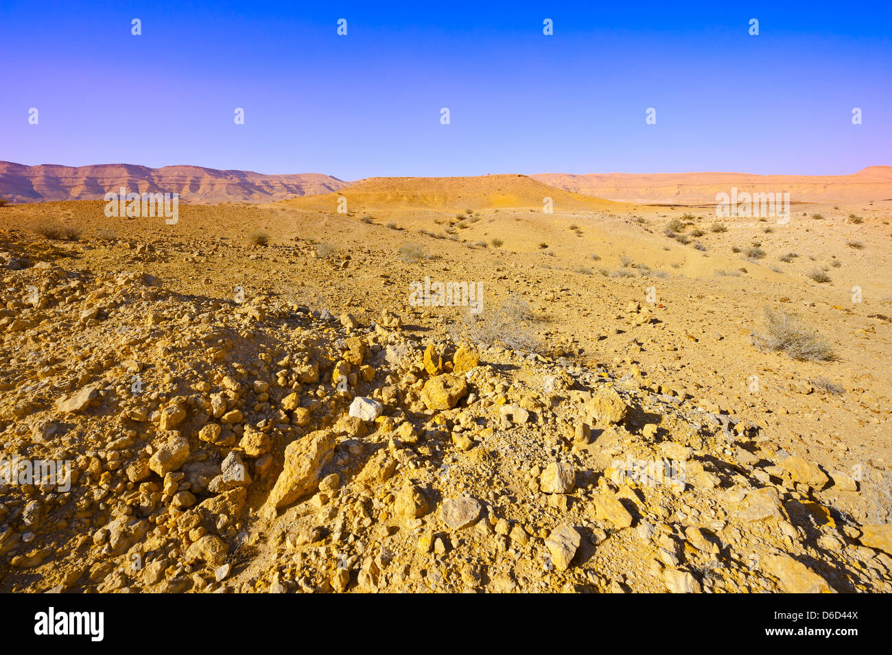 Shrubs of israel hi-res stock photography and images - Alamy