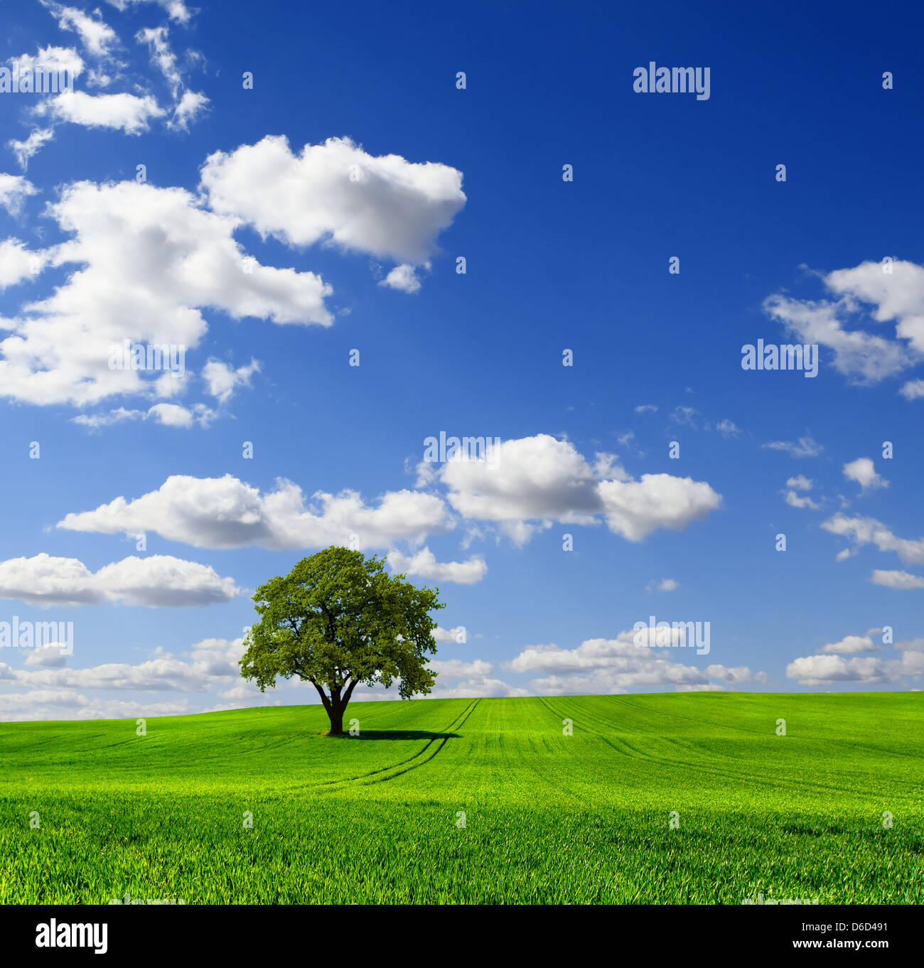Green spring landscape Stock Photo - Alamy