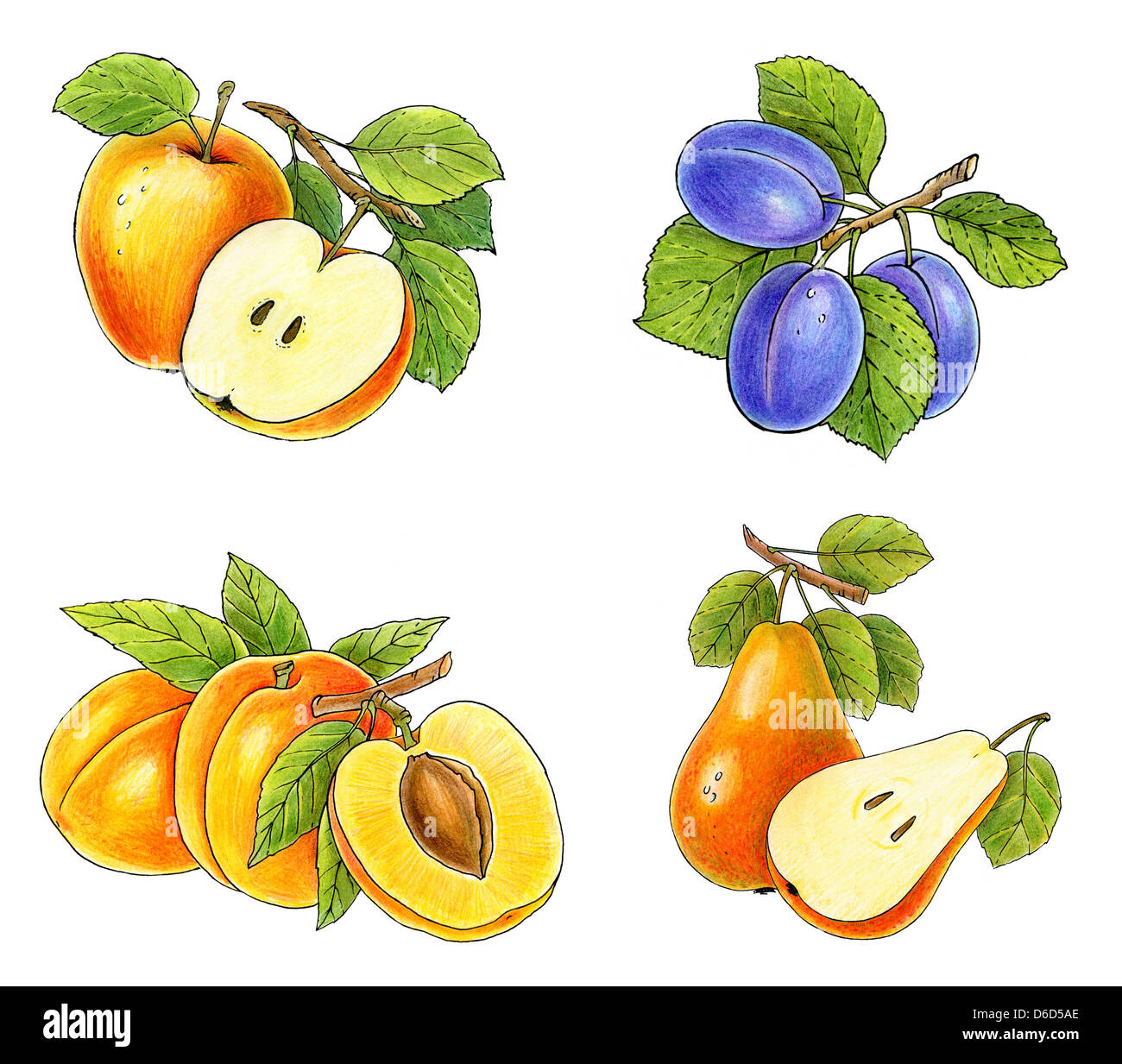 Fruits collection hi-res stock photography and images - Alamy