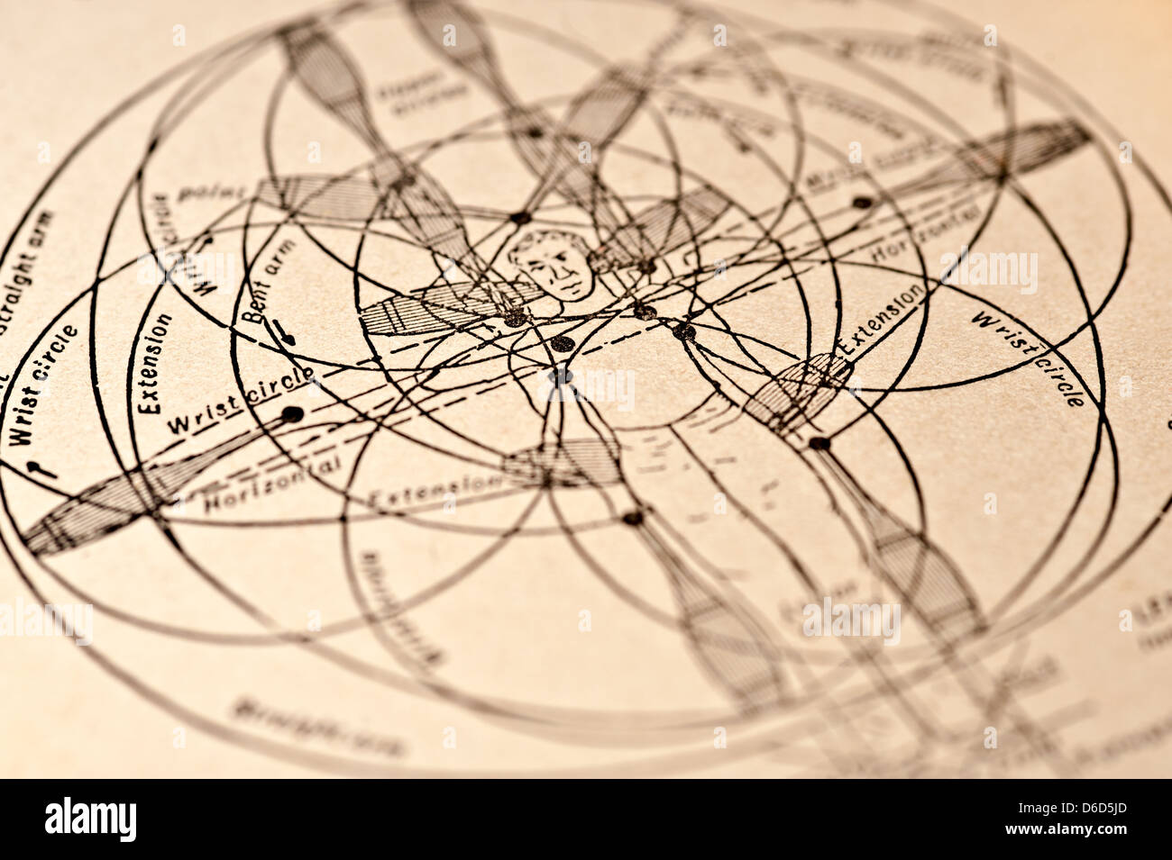 An illustration of arm exercises using club swings Stock Photo - Alamy