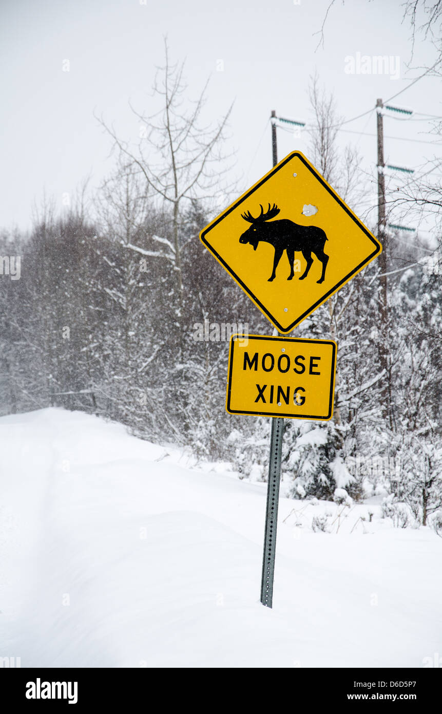 Moose crossing sign hi-res stock photography and images - Alamy