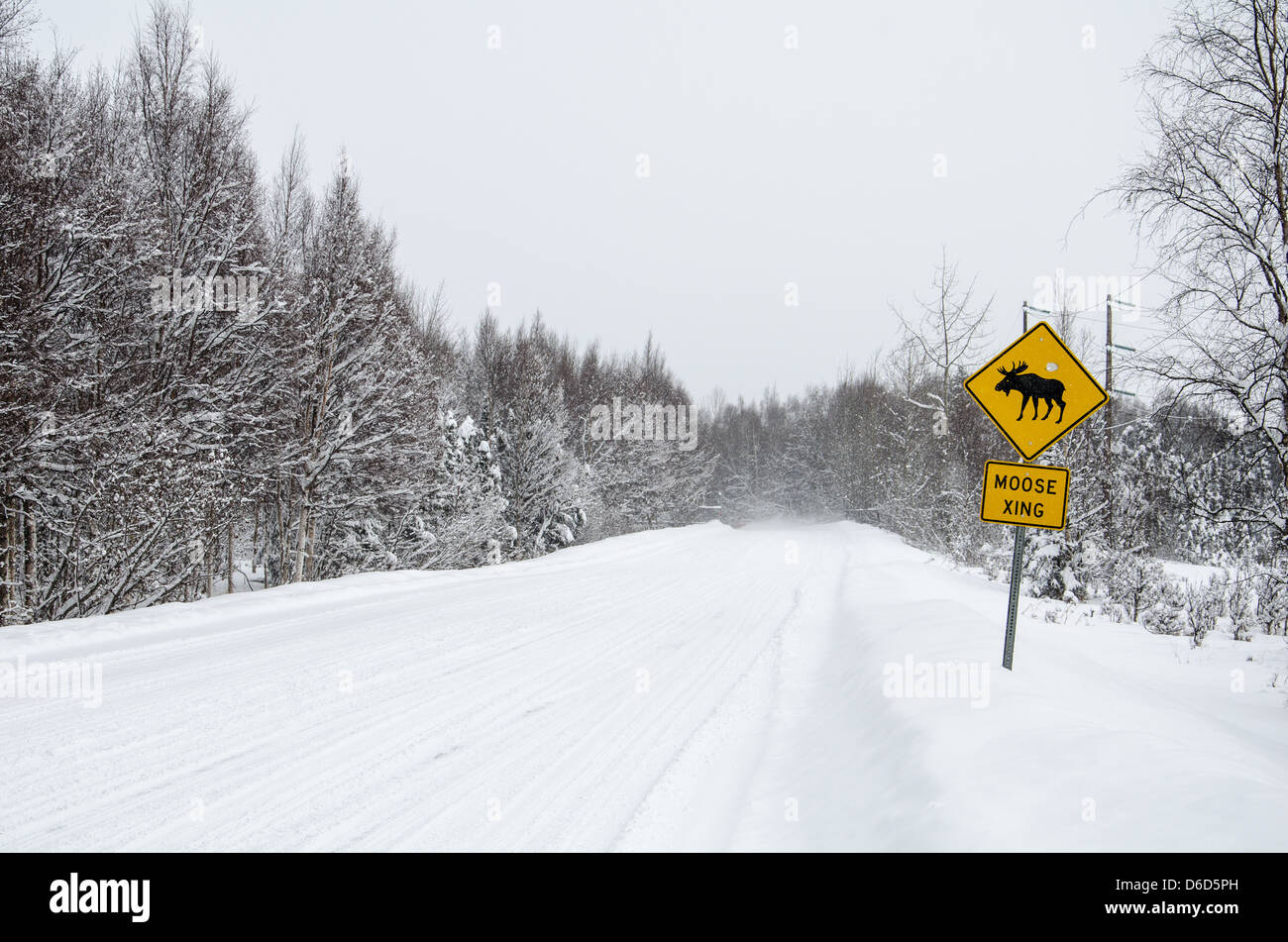 Moose Crossing sign in Anchorage Stock Photo - Alamy