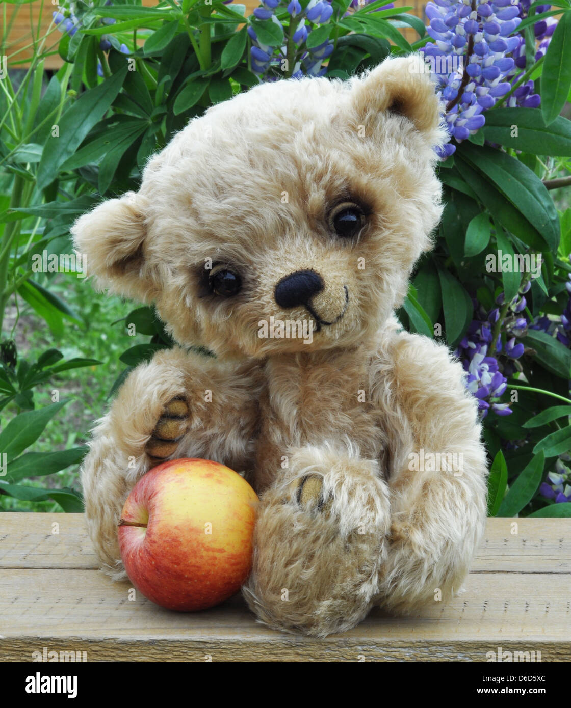 Teddy bear Lucky with apple Stock Photo - Alamy