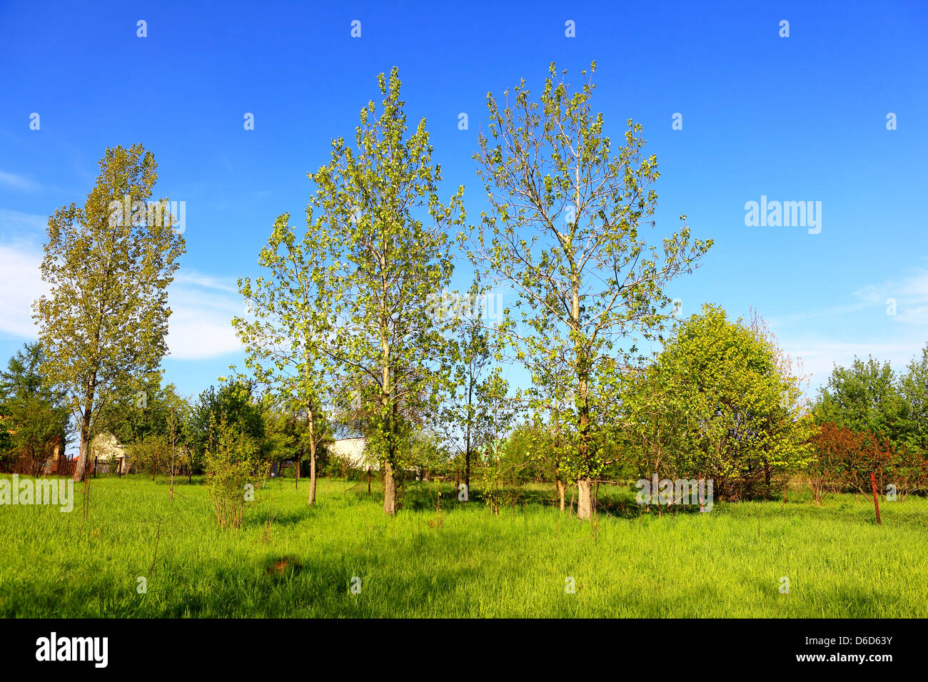 Spring orchard hi-res stock photography and images - Alamy