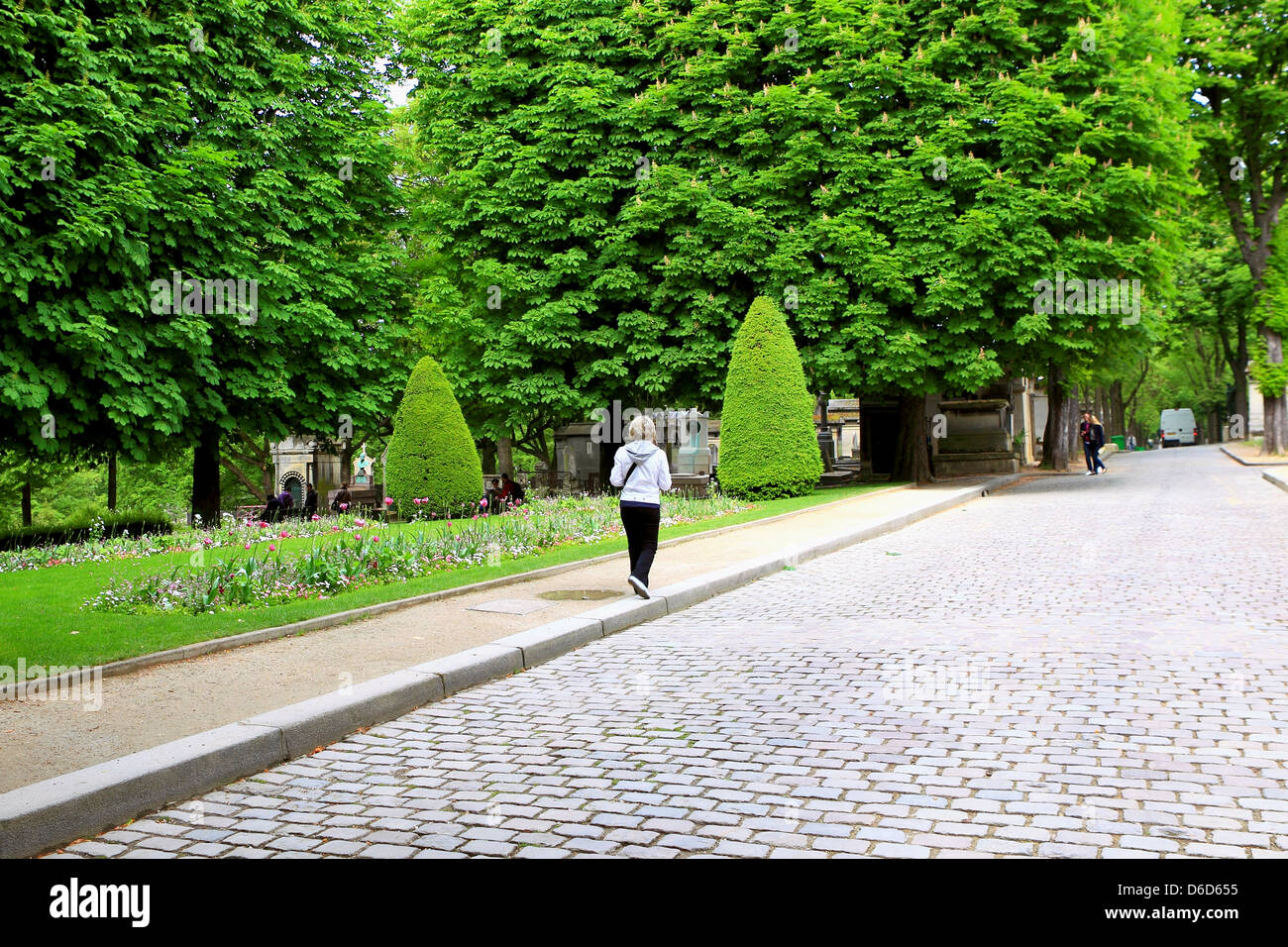 Walking in the park Stock Photo - Alamy