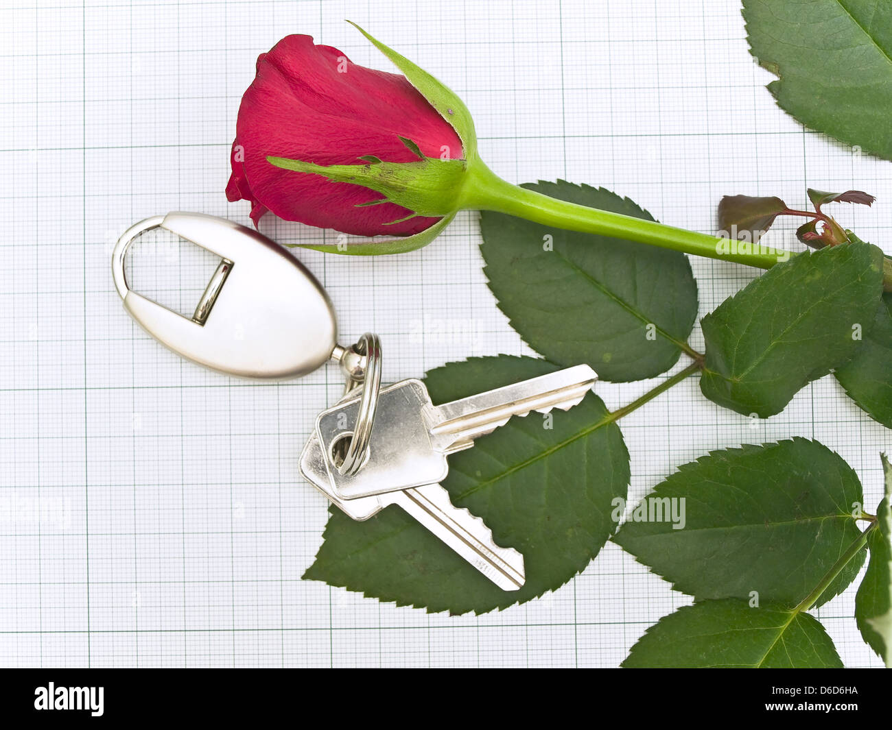 Rose and key Stock Photo - Alamy