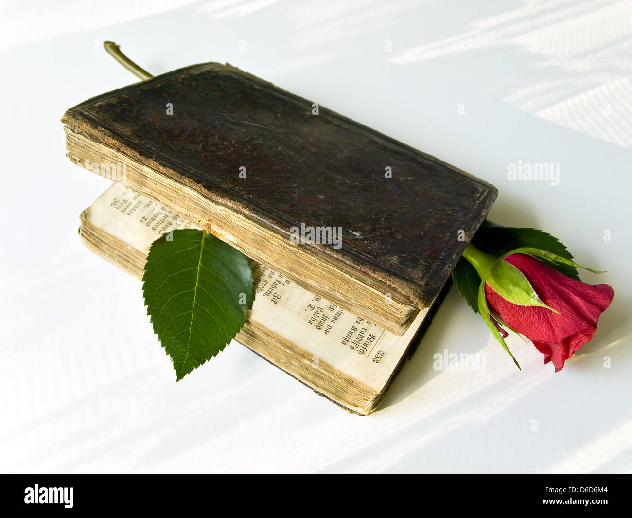 Rose in book Stock Photo - Alamy
