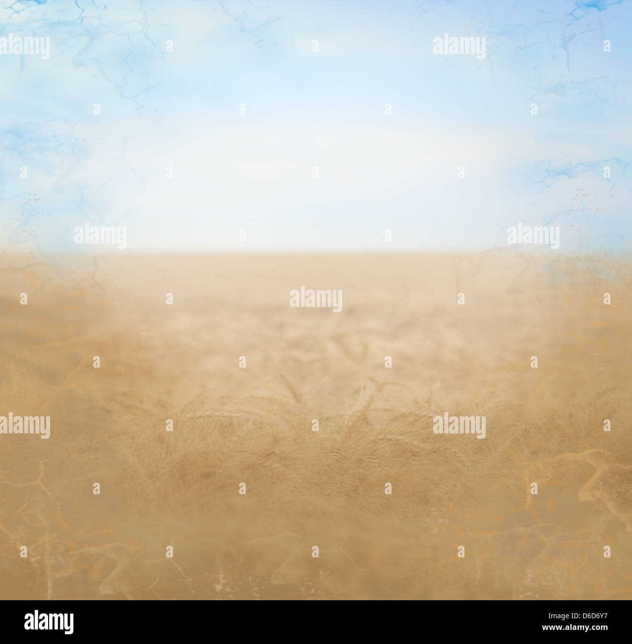 Summer field background Stock Photo - Alamy