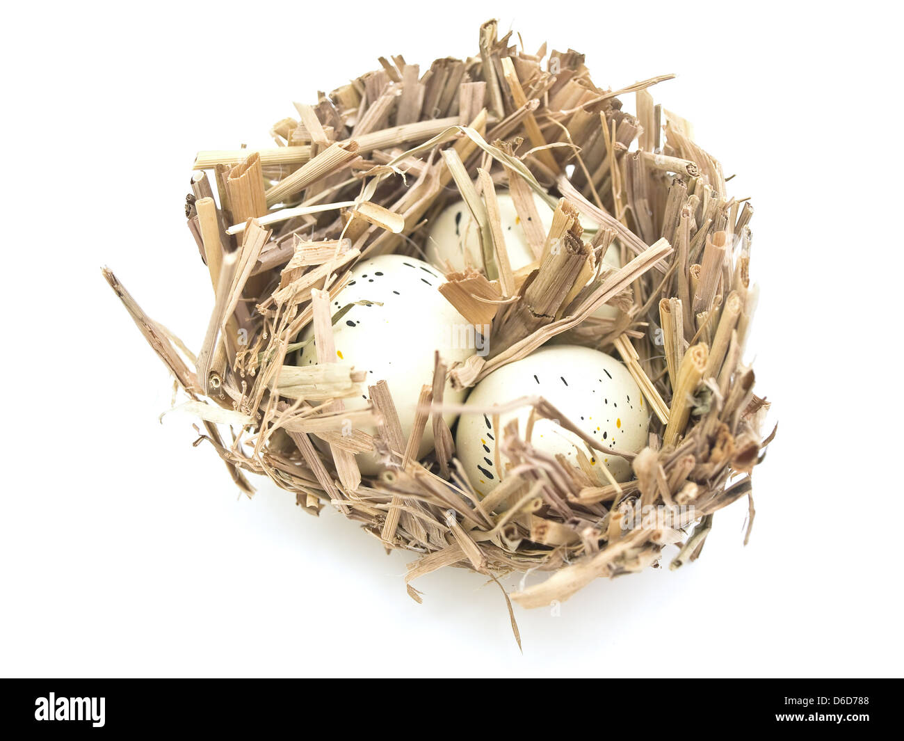 Nestle with eggs Cut Out Stock Images & Pictures - Alamy