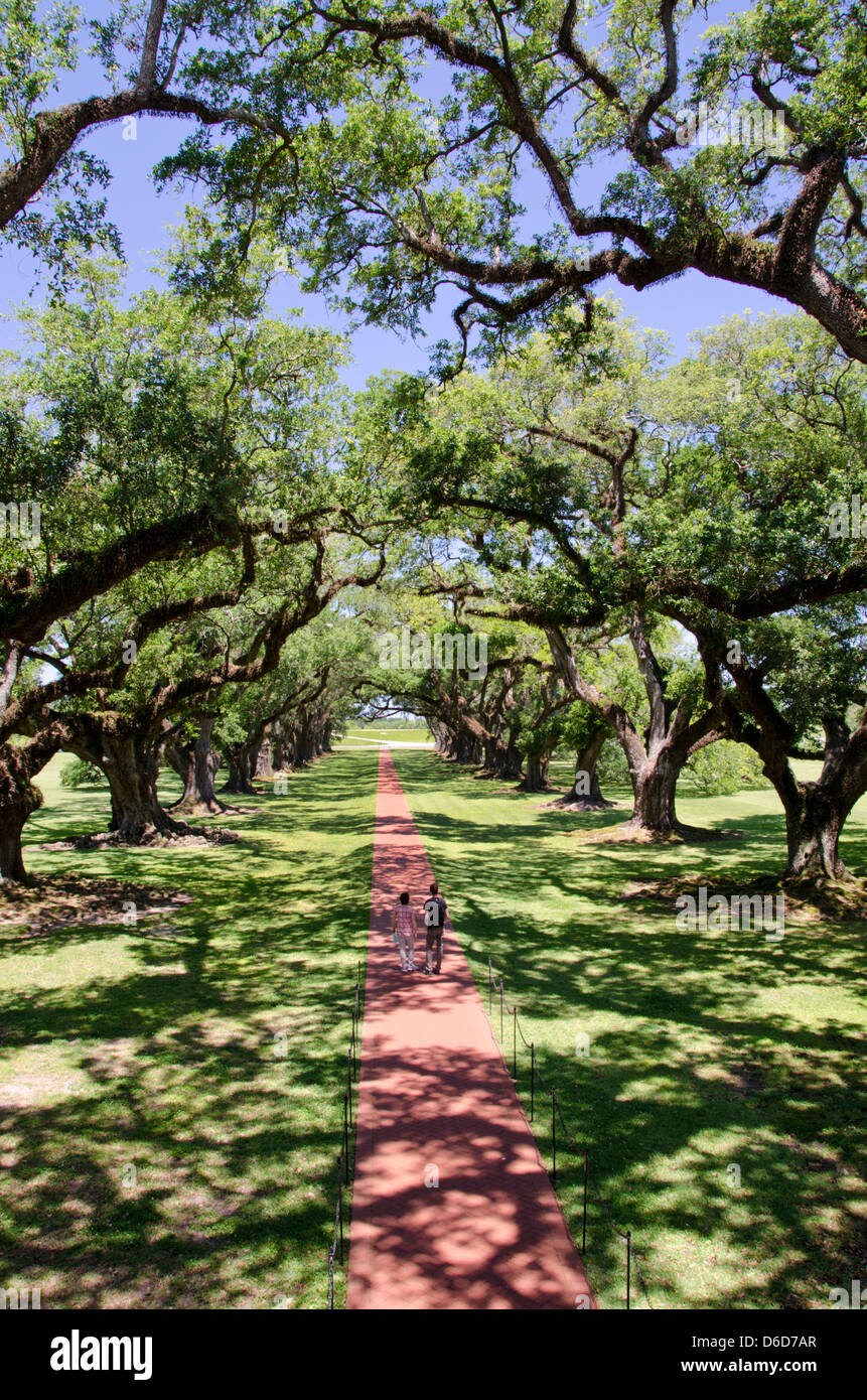 Louisiana, New Orleans area, Vacherie. Oak Alley Plantation, historic ...