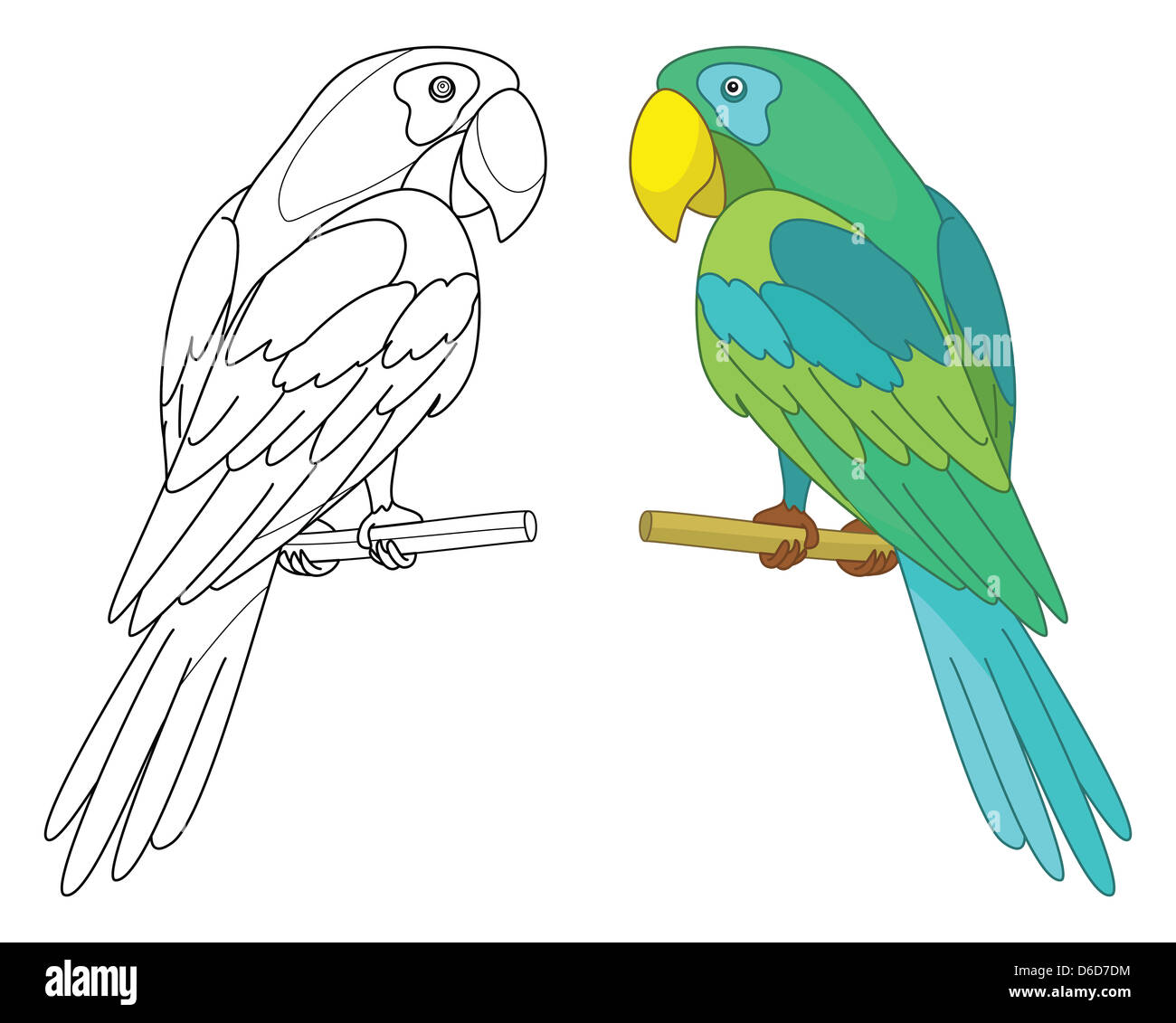 Zoo aviary bird Cut Out Stock Images & Pictures - Alamy