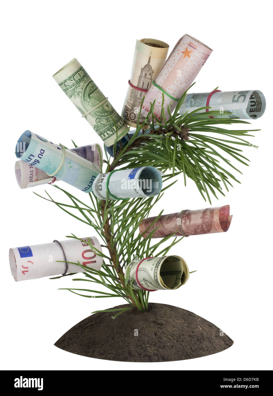 Savings tree Cut Out Stock Images & Pictures - Alamy