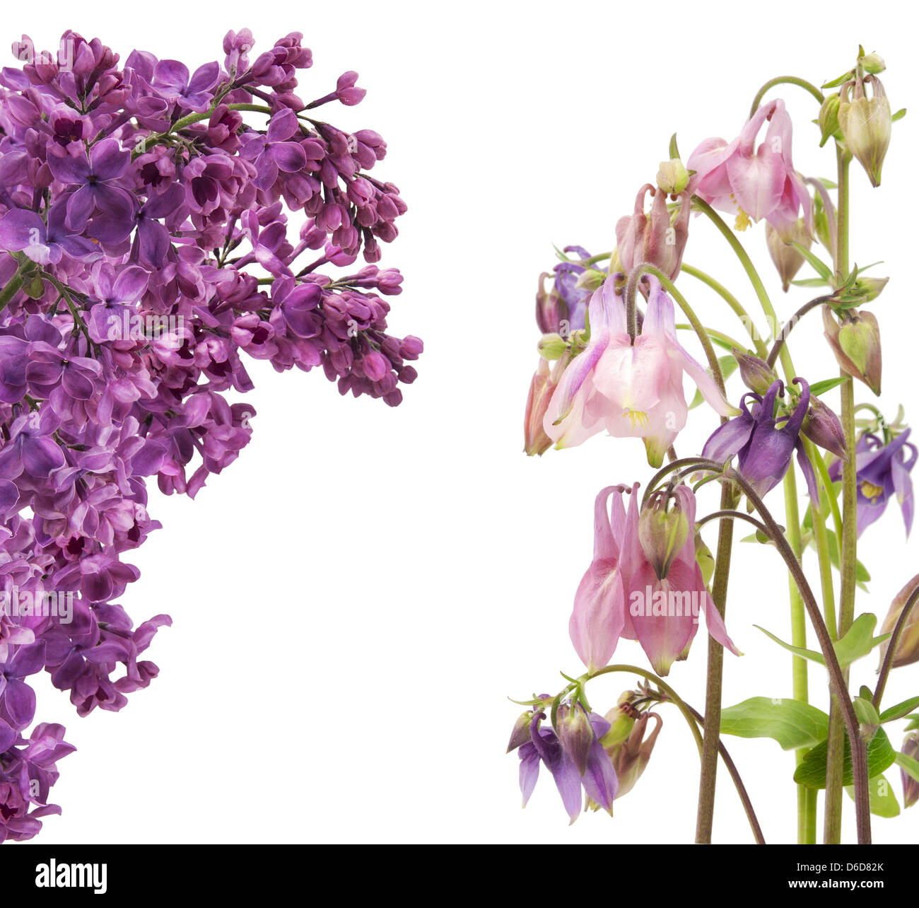 Simple flowers hi-res stock photography and images - Alamy